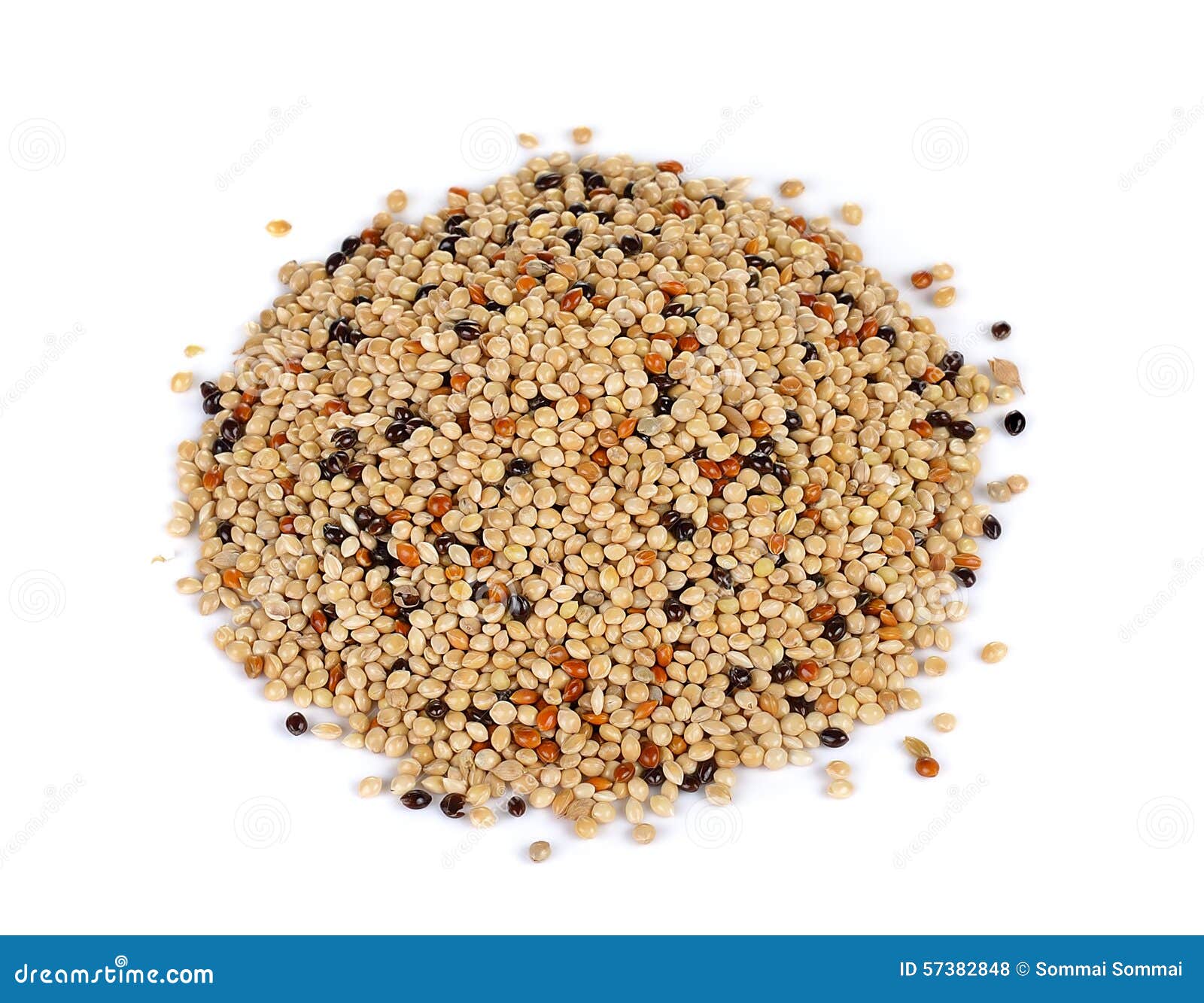 Seed Mixture Isolated on White Background. Pet Food for Birds Stock ...