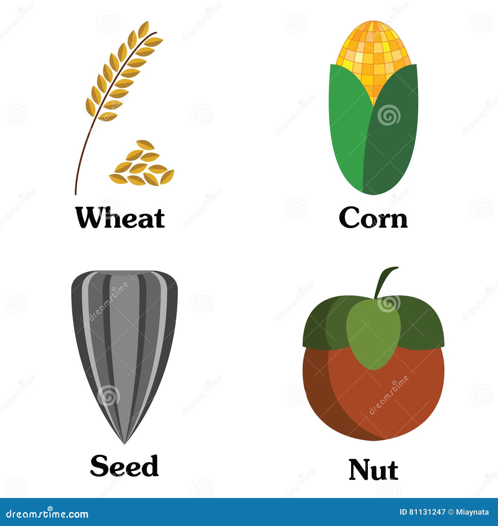 Corn Wheat Seed Nut Seamless Texture Cartoon Vector | CartoonDealer.com ...
