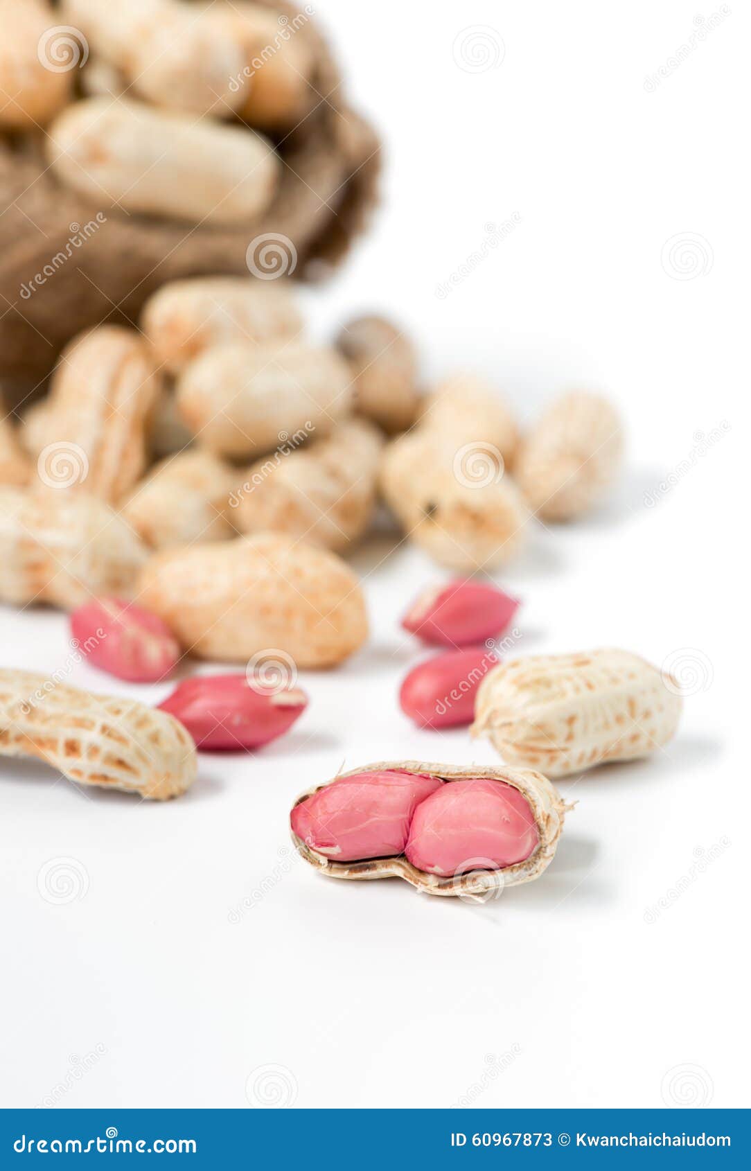 Seed peanut isolated stock image. Image of peanuts, seed - 60967873