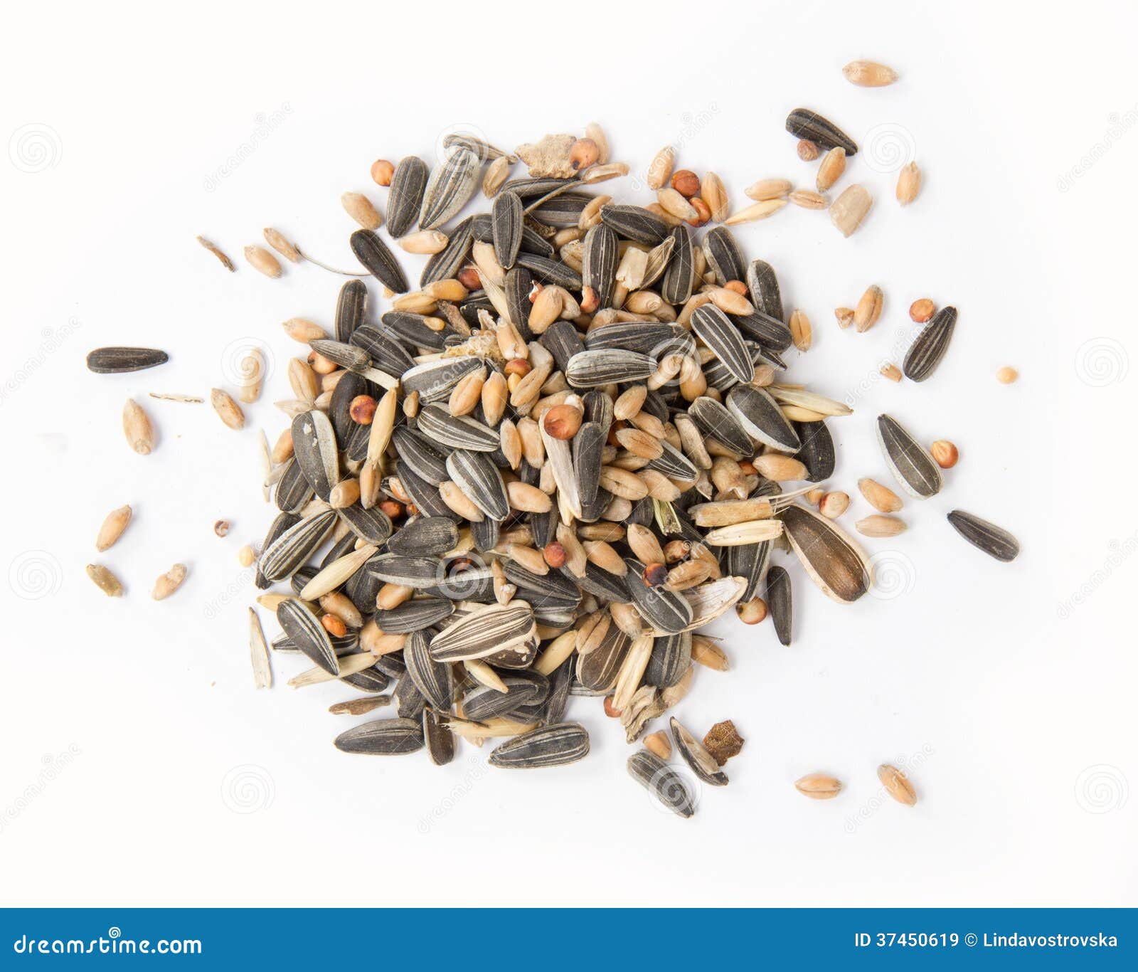Seed pile stock image. Image of closeup, natural, cereal - 37450619