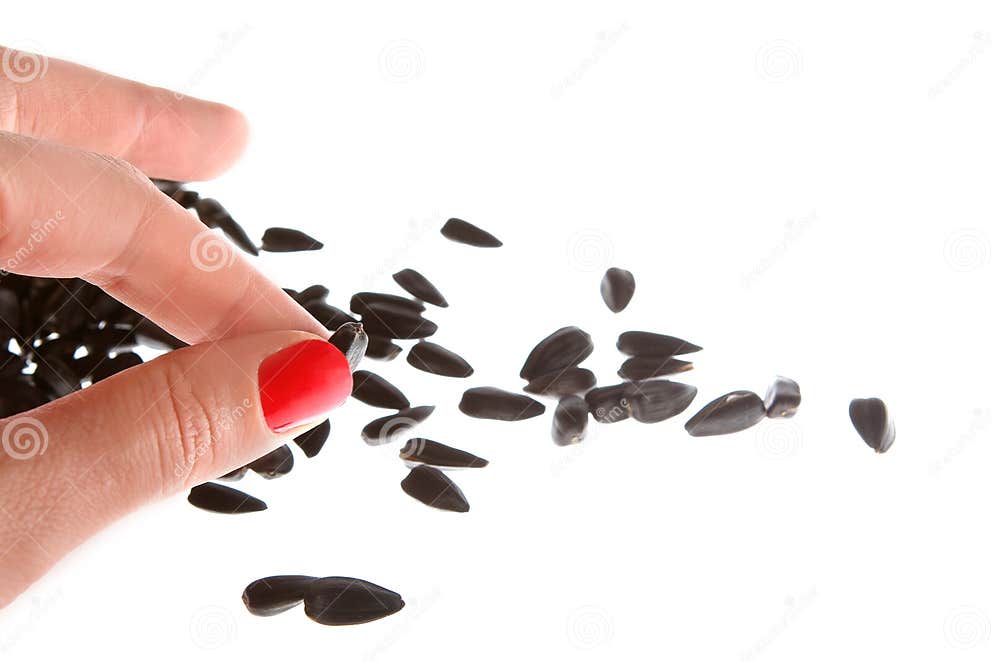 The seed in the seed stock image. Image of macro, grain - 60004743