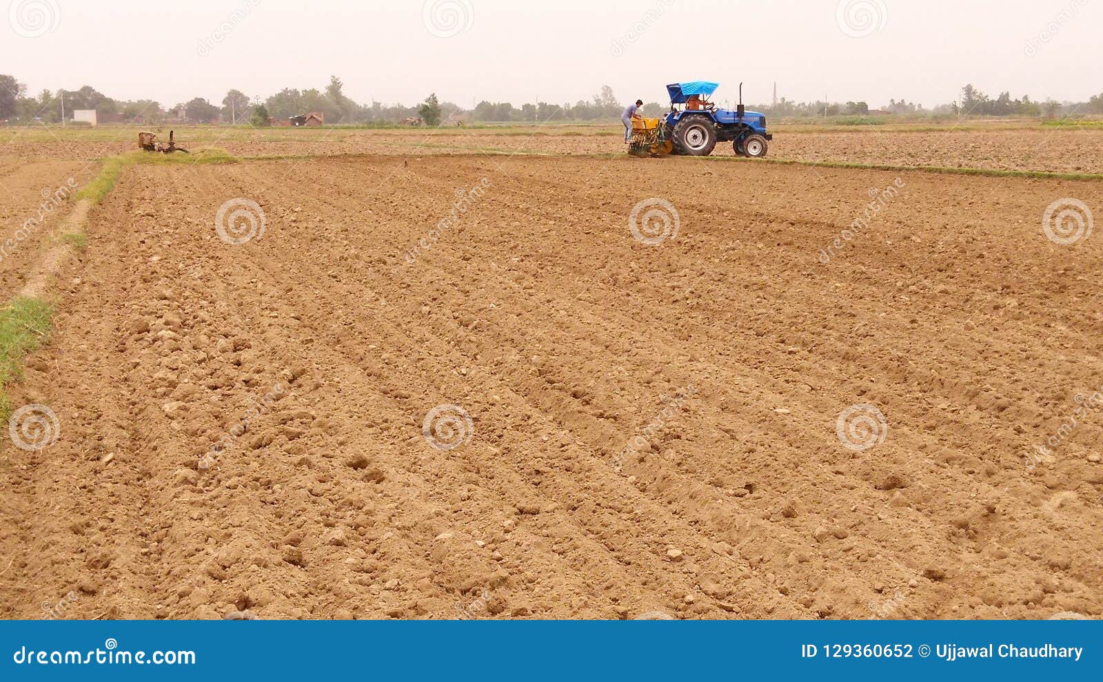 Seed sowing stock photo. Image of plant, nature, seed - 129360652