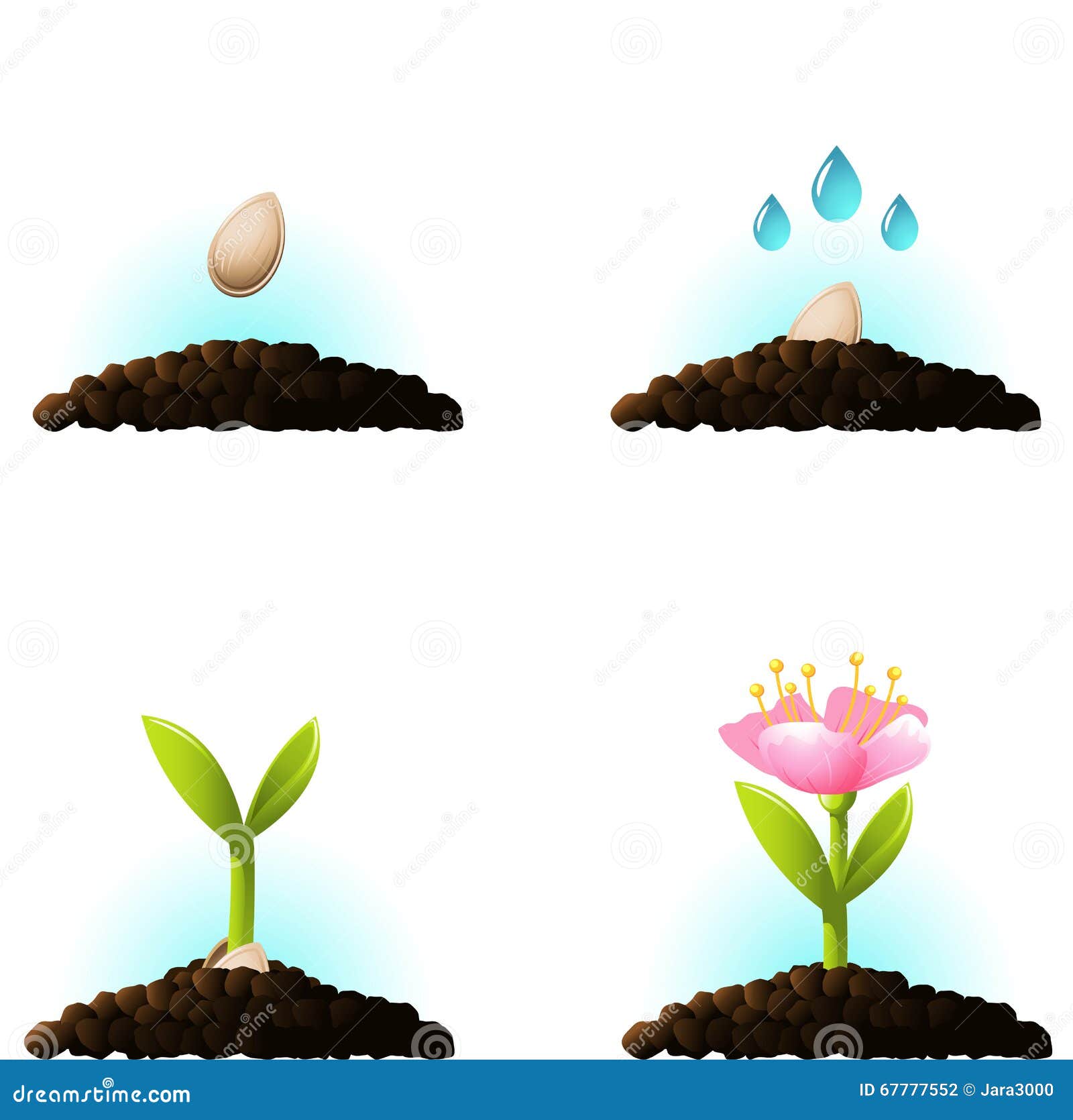 Seed sprout. Vector icons stock vector. Illustration of gardening ...