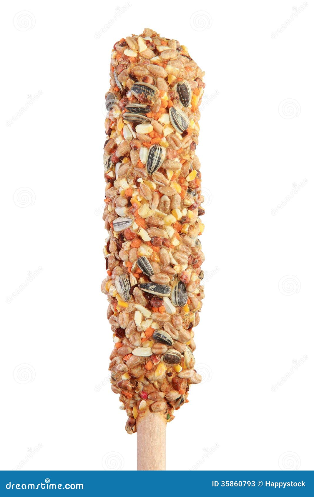 Seed stick stock image. Image of nutrition, food, stick - 35860793