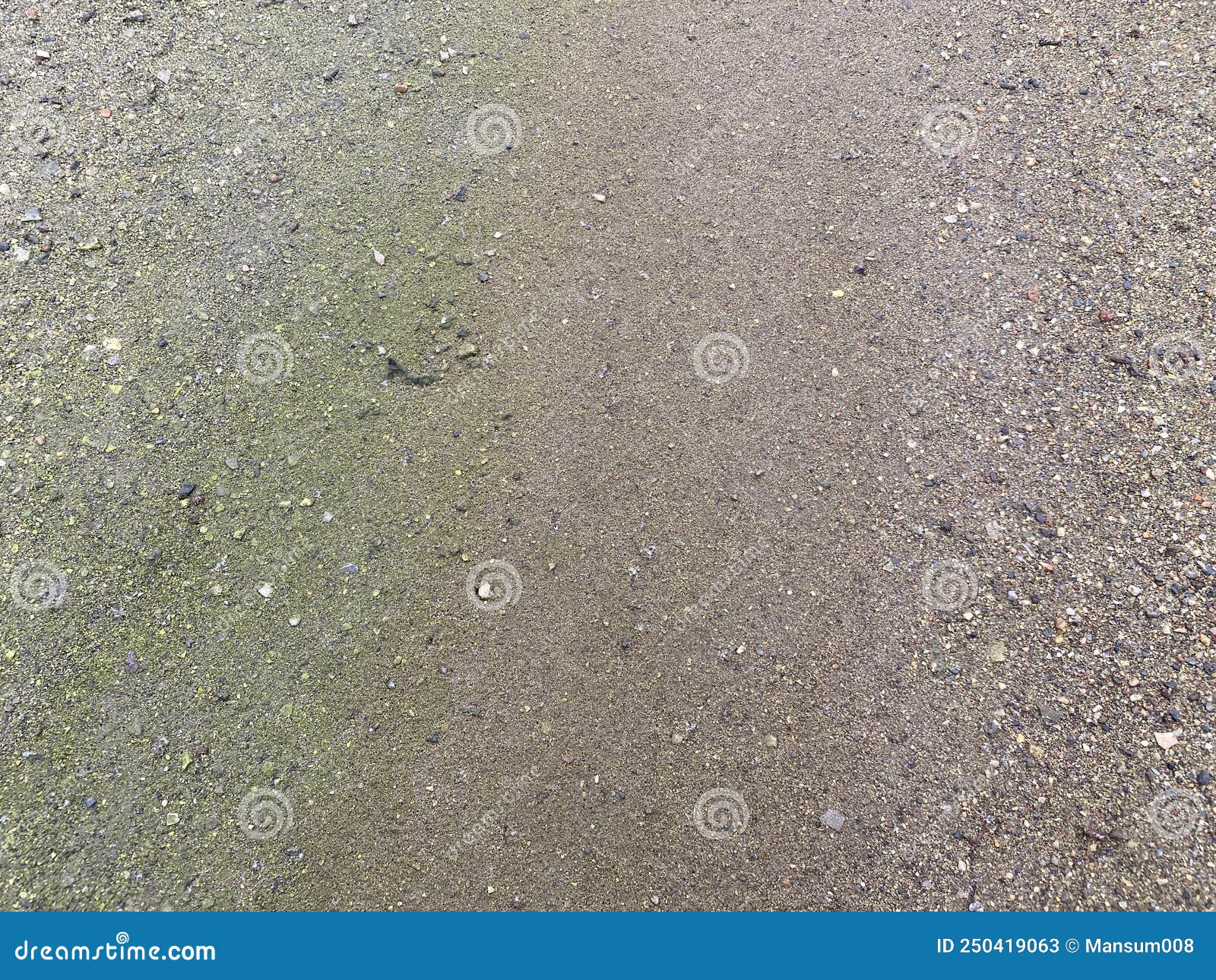 Seed on stone floor stock image. Image of closeup, gravel - 250419063