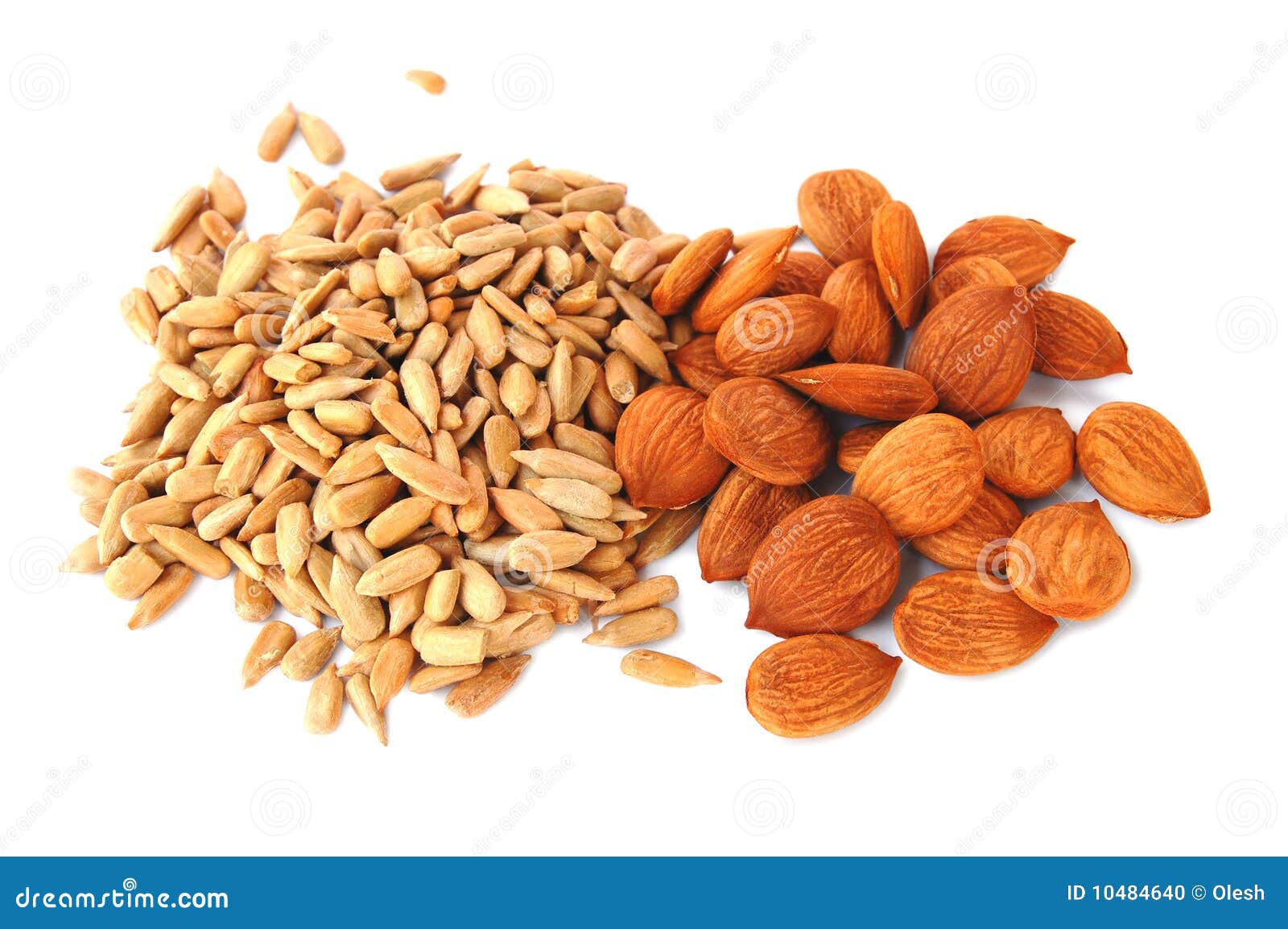 Seed of Sunflower and Apricot Pit Stock Photo - Image of textured ...