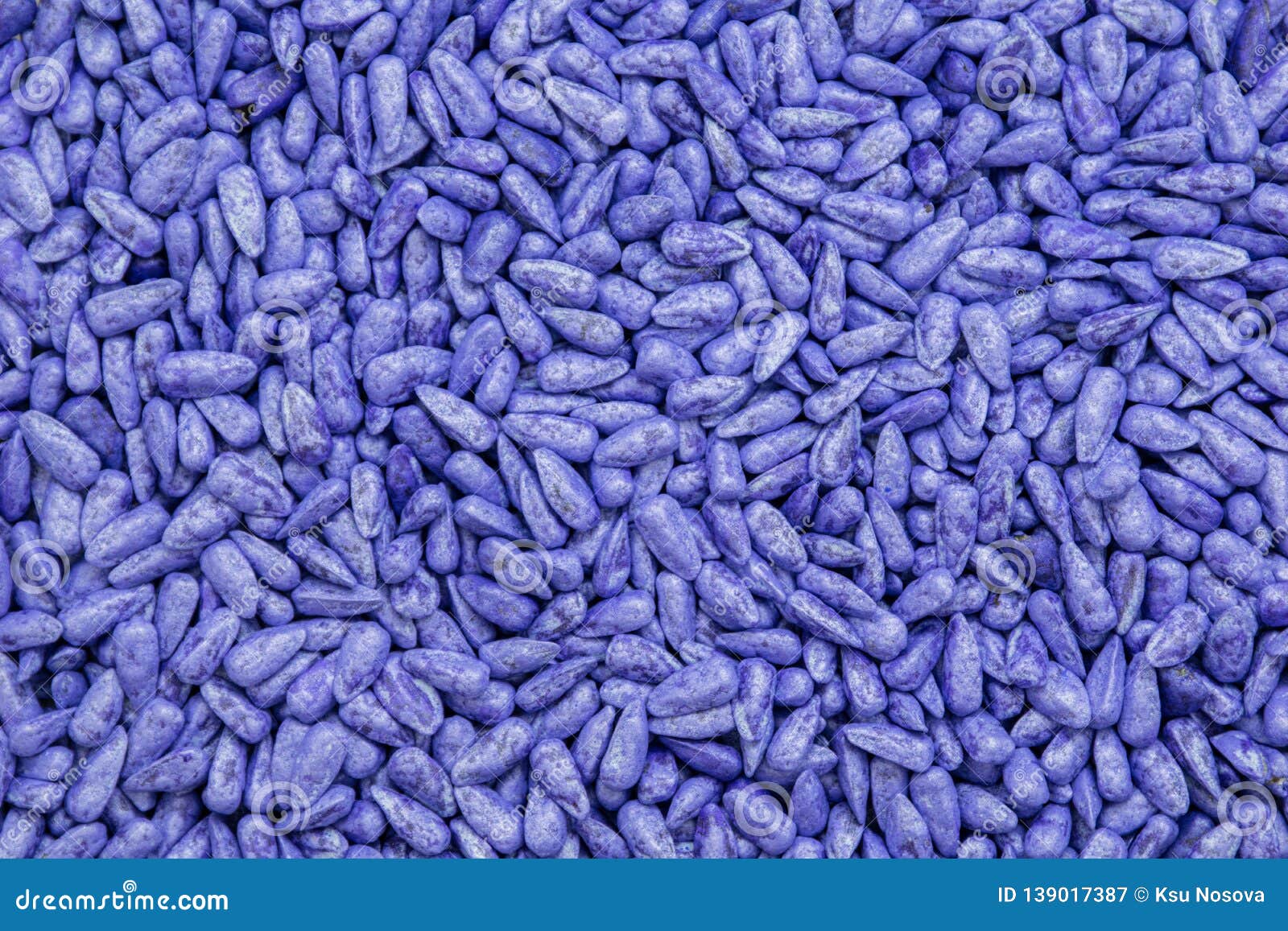 Seed Sunflower Seeds. Painted Agro Color for Sorting and Labeling Stock ...