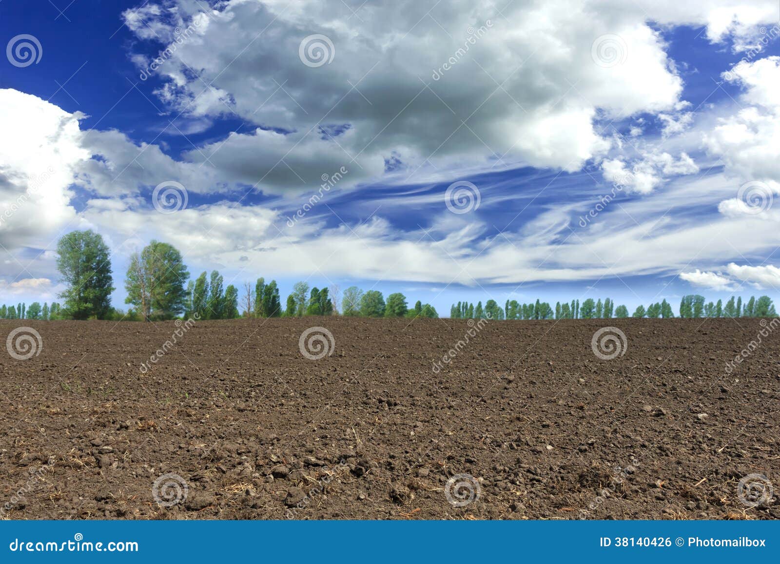Seedbed stock photo. Image of cultivated, landscape, farming - 38140426