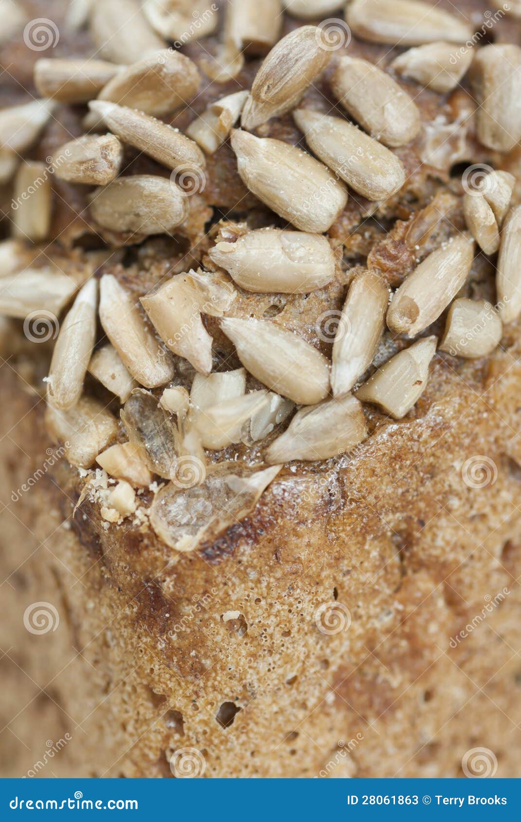 Seeded Loaf of Bread. stock image. Image of organic, crust - 28061863