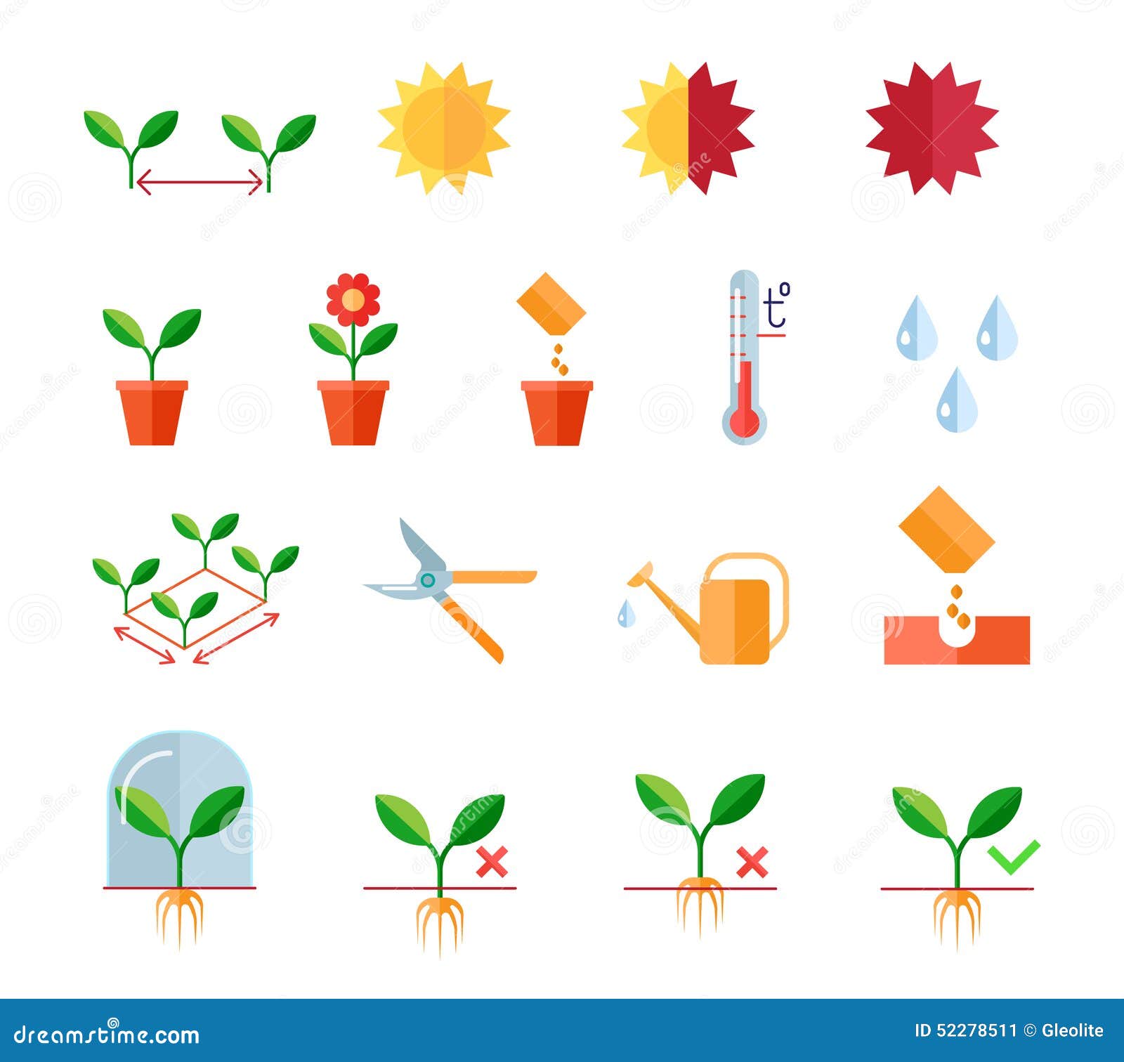 Seeding And Planting Instructions Steps, Pruning Cartoon Vector ...