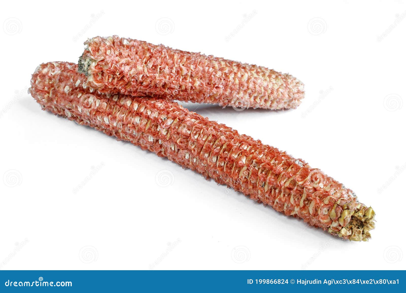 Cob Cornsticks Stock Photos - Free & Royalty-Free Stock Photos from ...