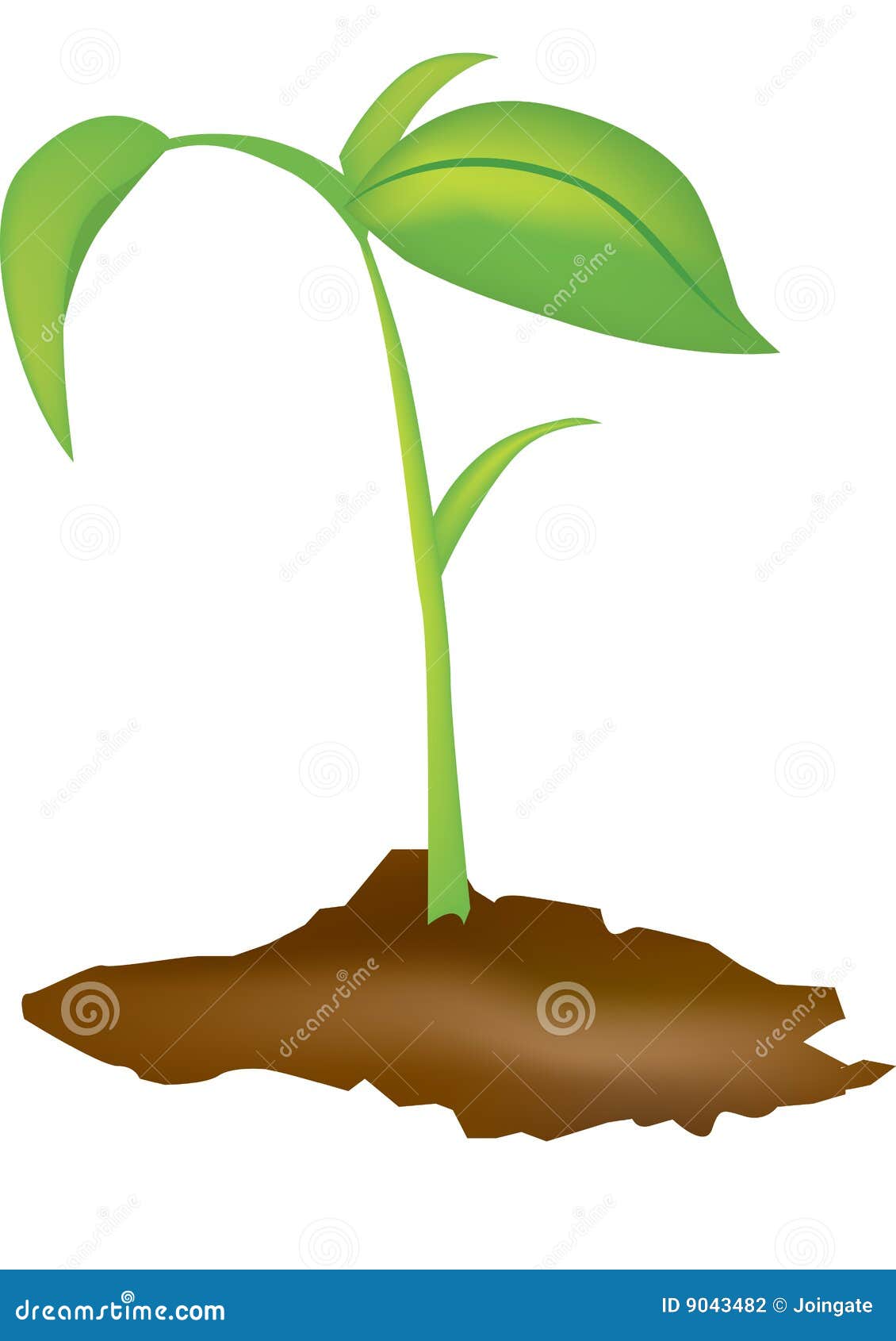 Seedling stock vector. Illustration of conservation, concept - 9043482