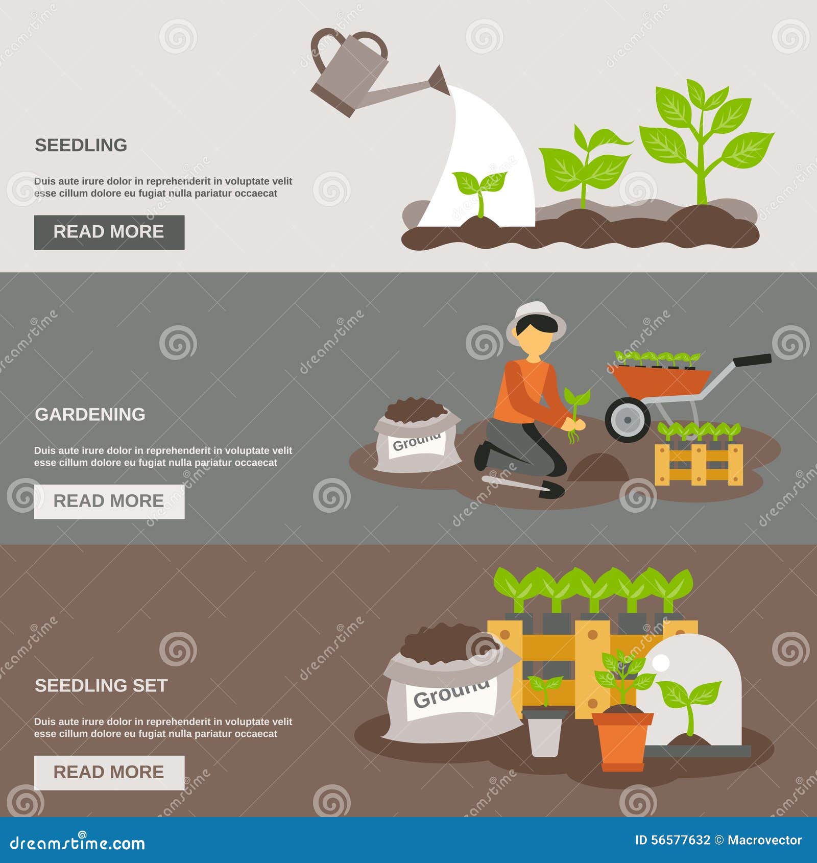 Seedling Banner Set stock vector. Illustration of gardening - 56577632
