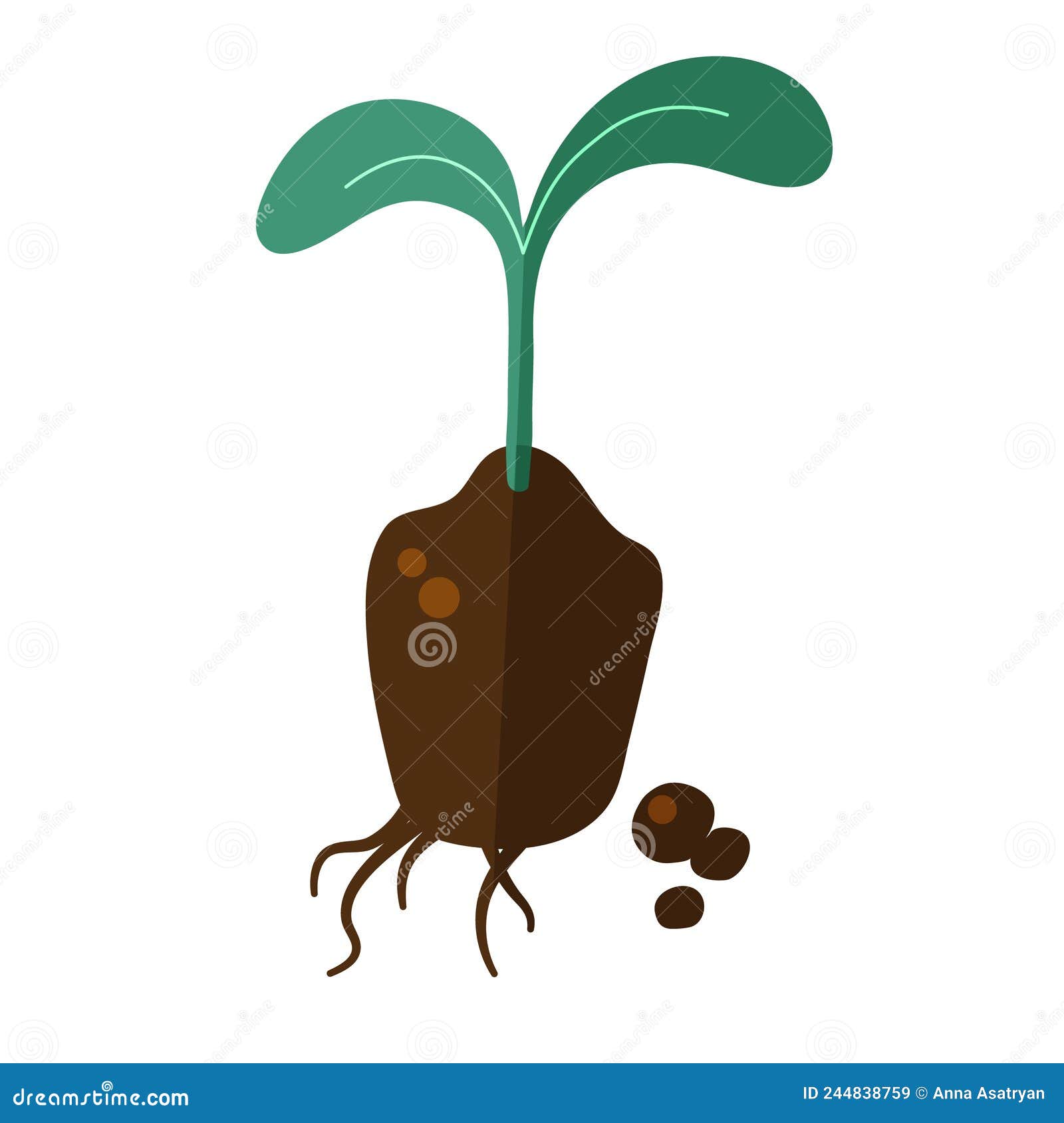 Seedling With Roots Vector Illustration | CartoonDealer.com #27011096