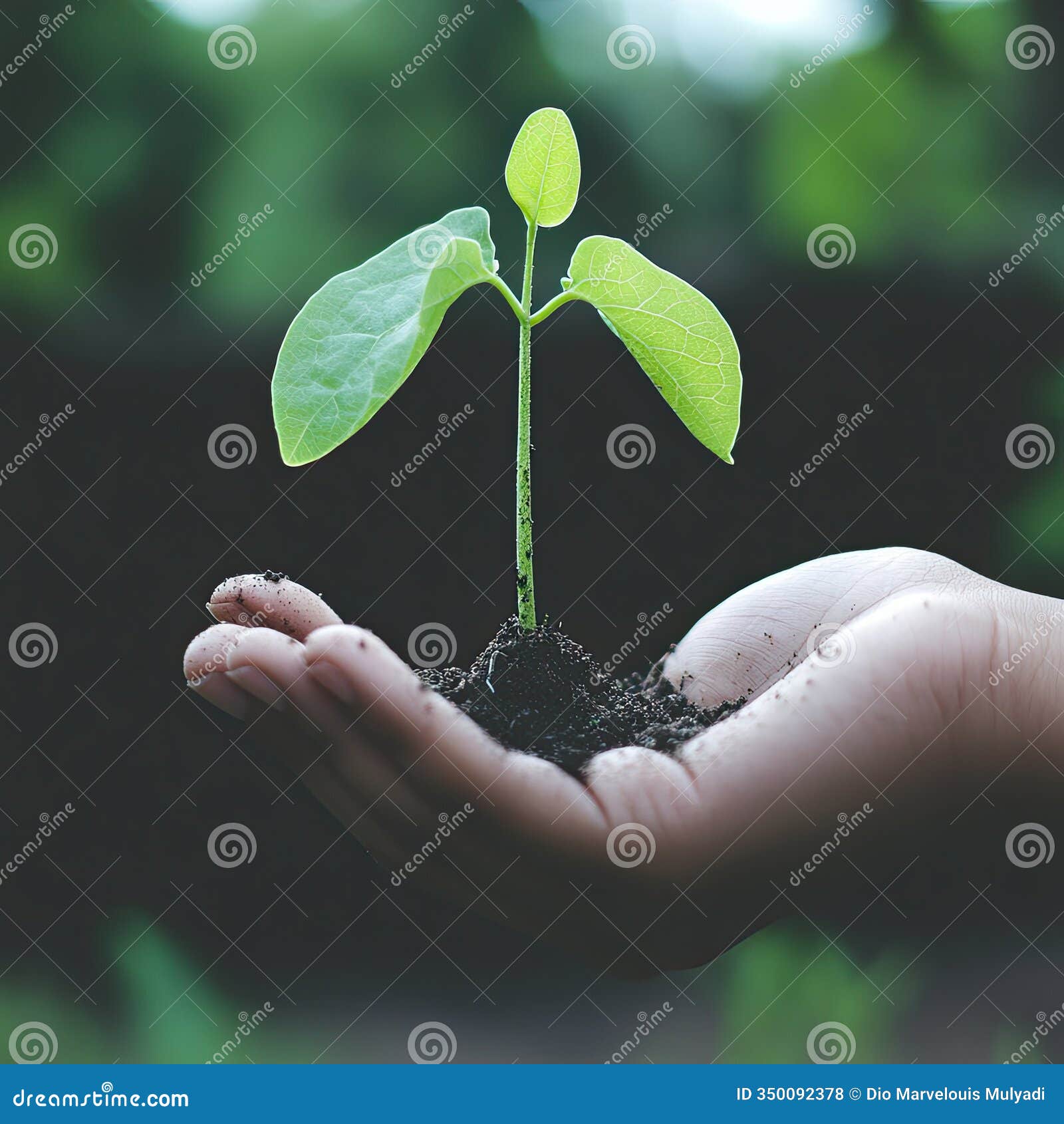 Seedling in Hand, Growth, Nature, Environment Stock Illustration ...
