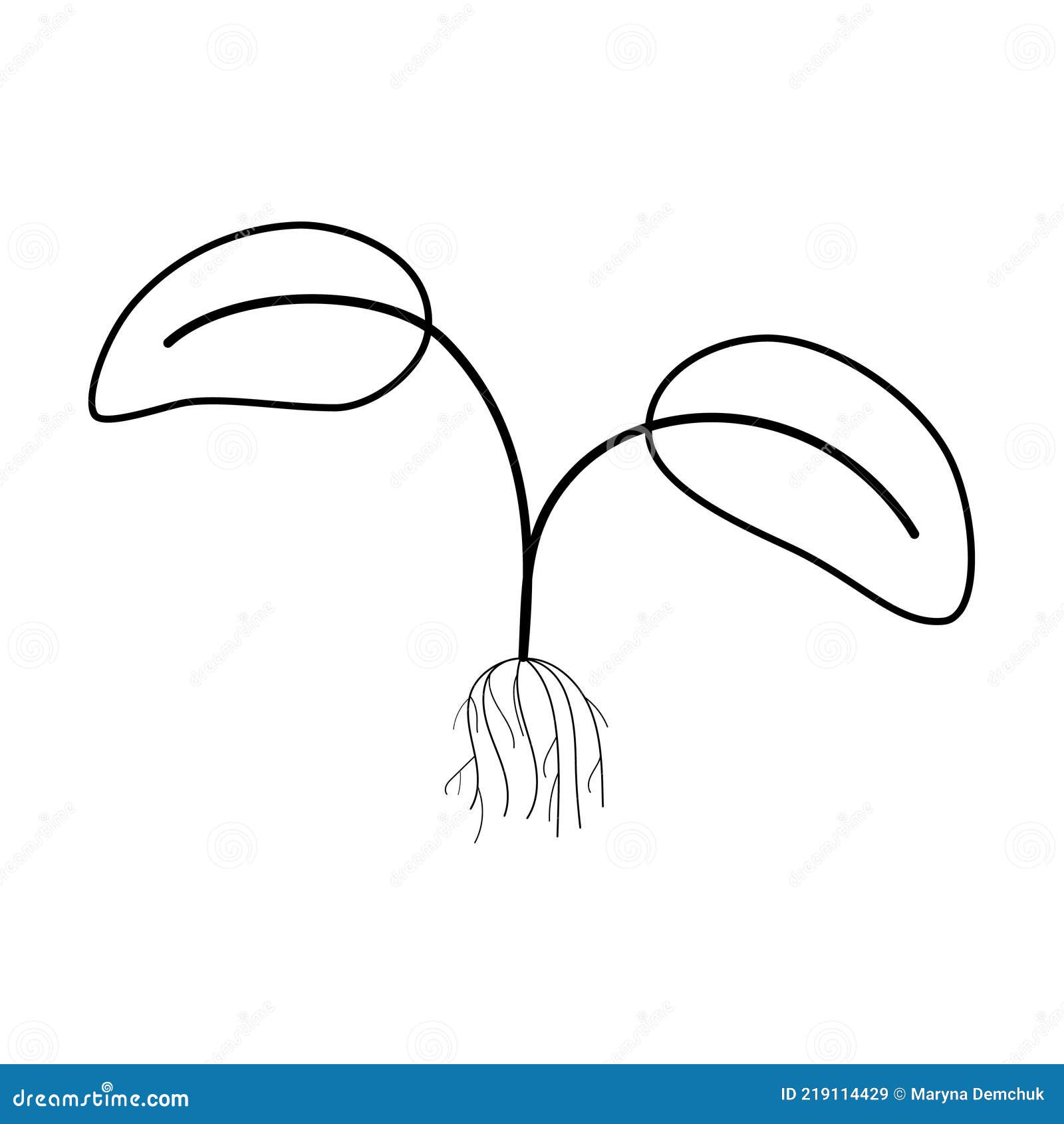 Seedling With Roots Vector Illustration | CartoonDealer.com #27011096