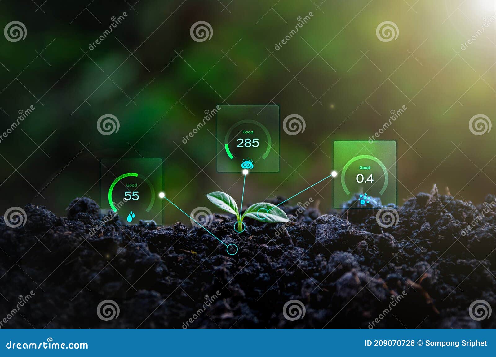 Seedling and Planting with Technology Concepts Ecology Environment ...