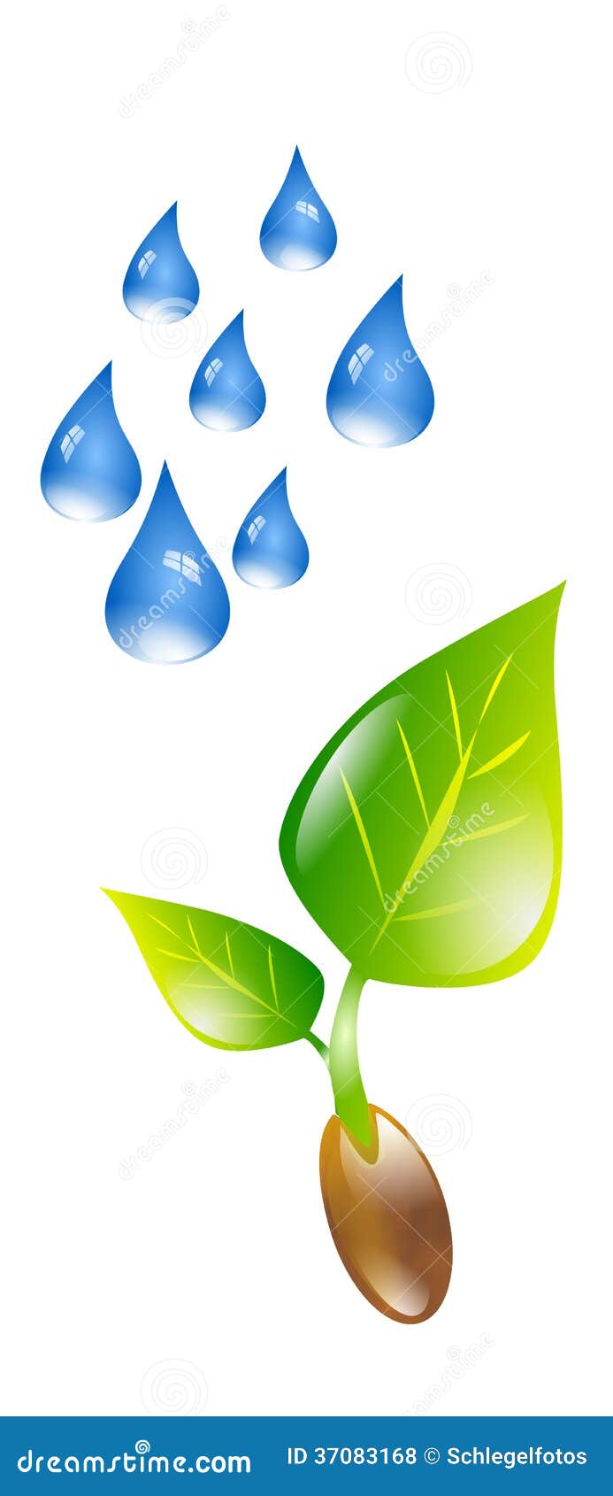 Seedling in rain isolated stock illustration. Illustration of leaf ...
