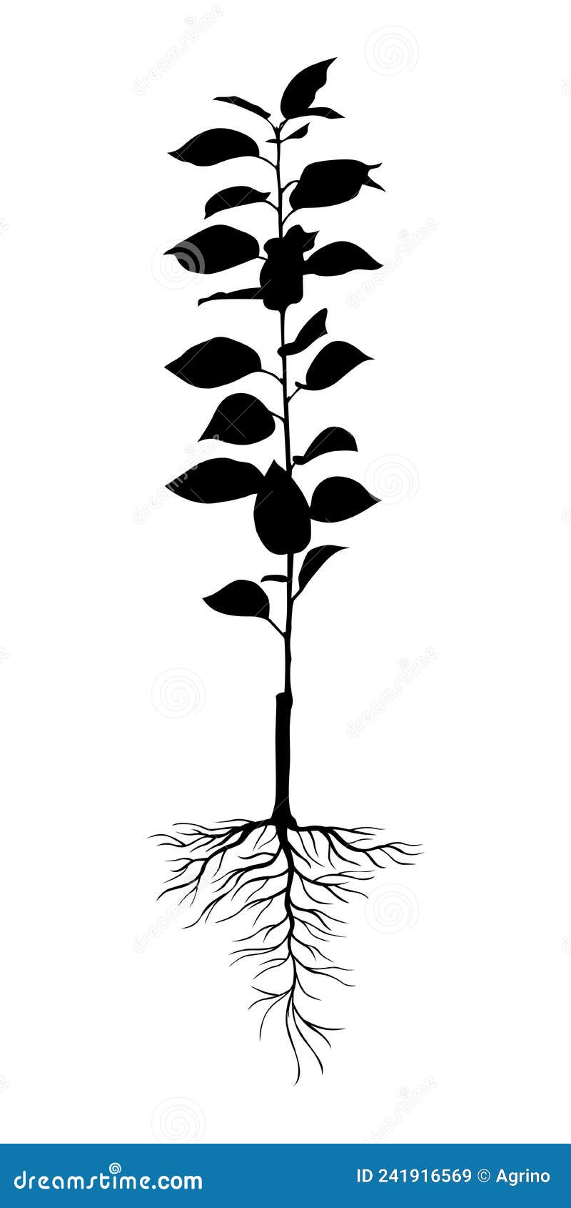 Seedling with root system stock illustration. Illustration of ...