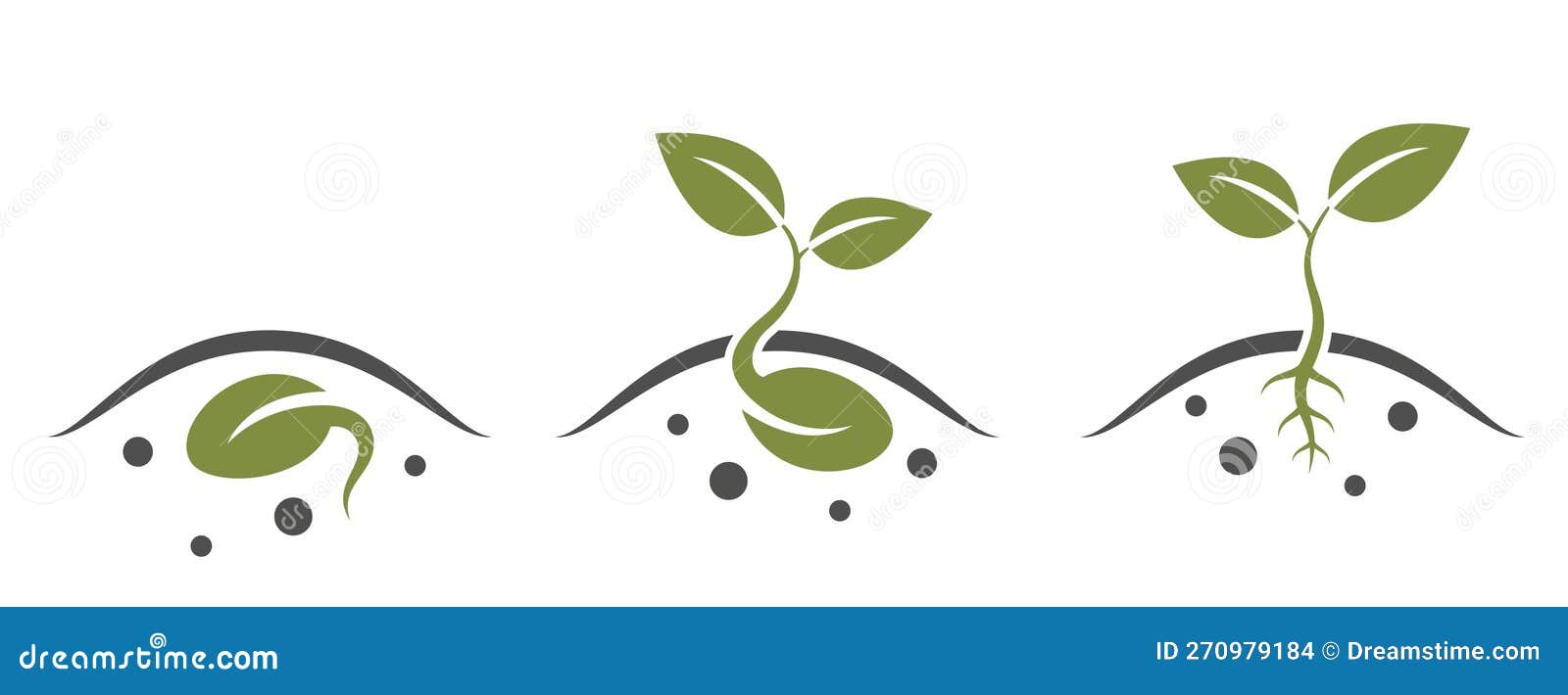 Seedling and Seed Germination Set. Sprouted Seed and Planting Symbol ...