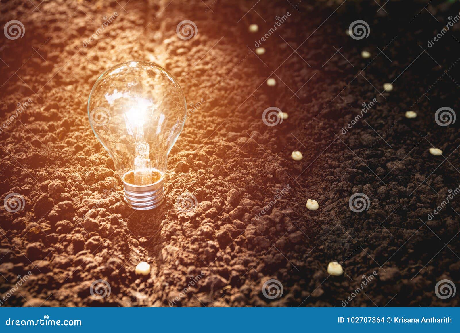 Seedling in the Soil with Light Bulb for Saving Energy and Power Stock ...