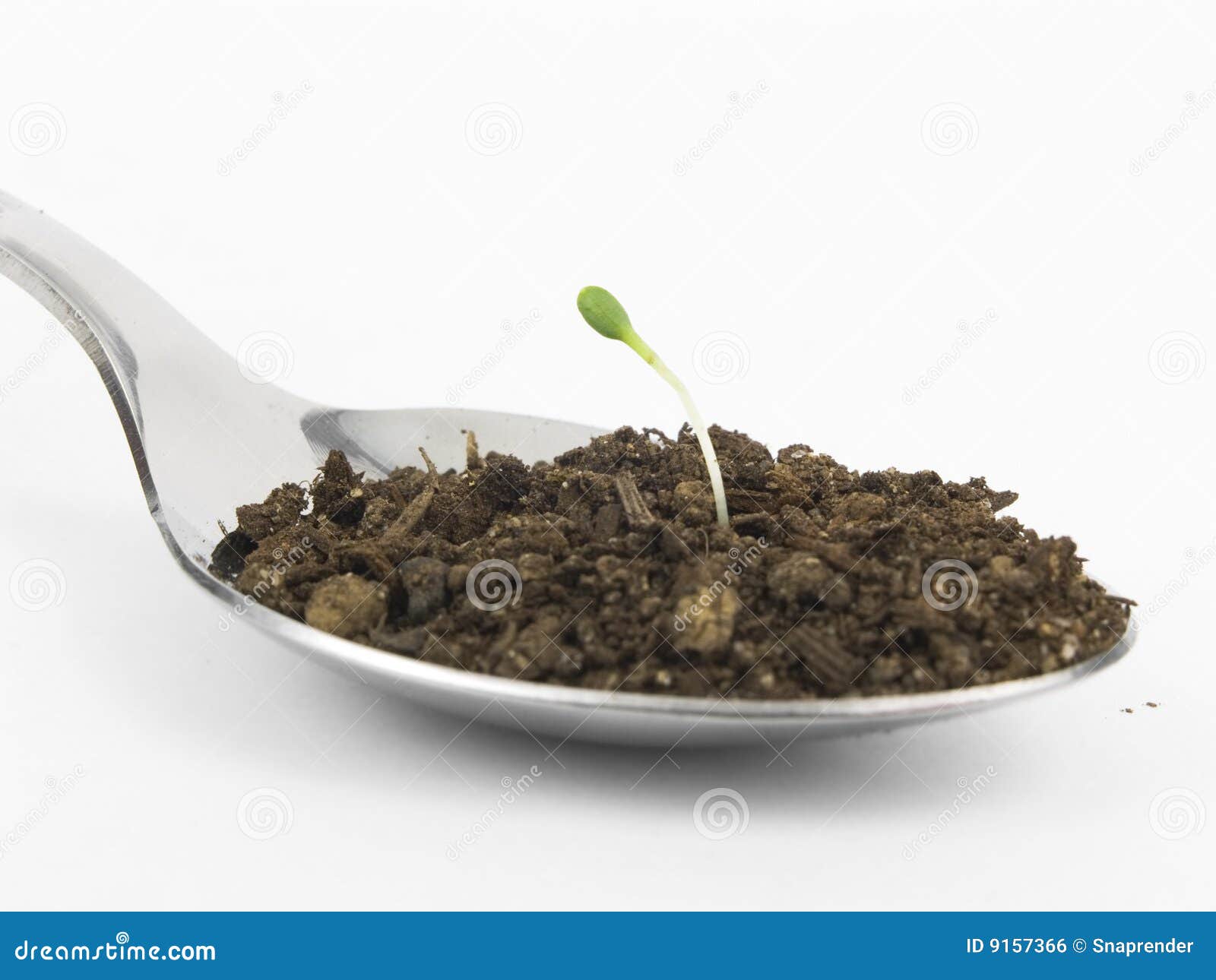 1,696 Spoon Soil Stock Photos - Free & Royalty-Free Stock Photos from ...