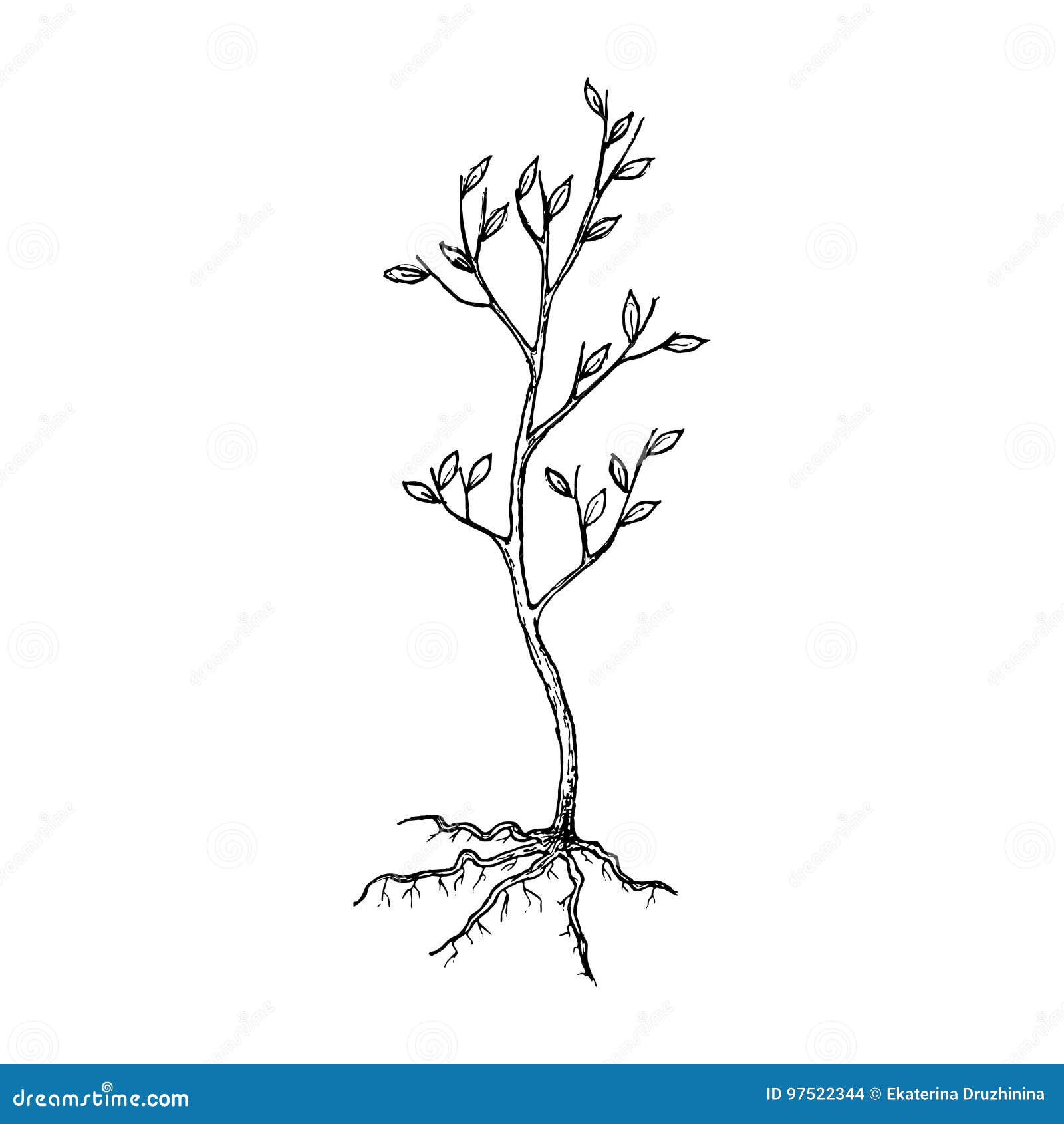 Seedling Cartoons, Illustrations & Vector Stock Images - 62418 Pictures ...
