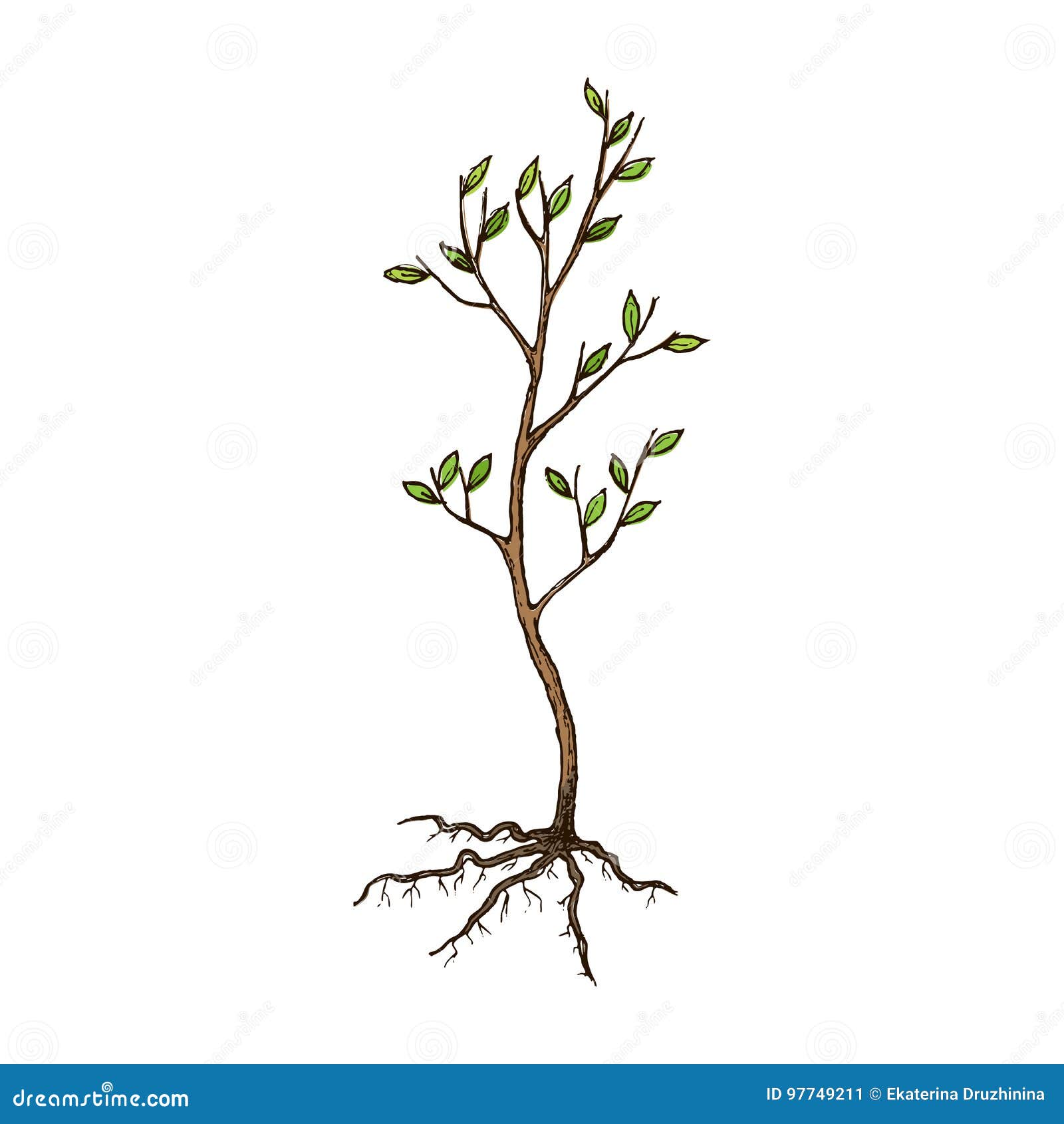 Seedling tree sketch stock vector. Illustration of element - 97749211
