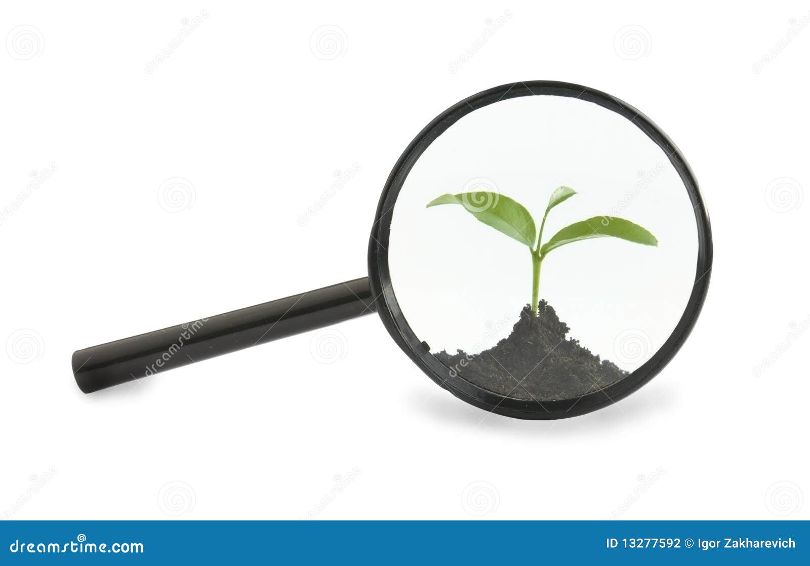 Seedling Under a Magnifying Glass Stock Photo - Image of ideas ...