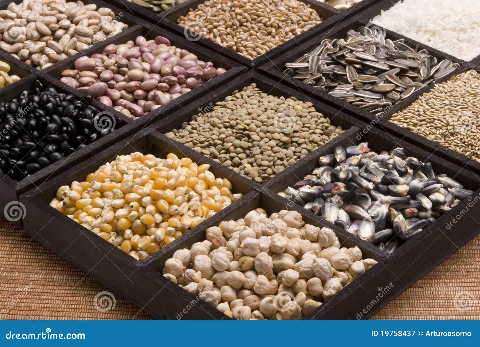 Variety of edible seeds stock image. Image of colours - 19758437