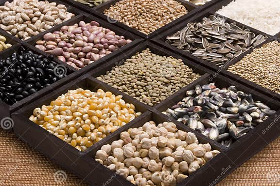 Variety of edible seeds stock image. Image of colours - 19758437
