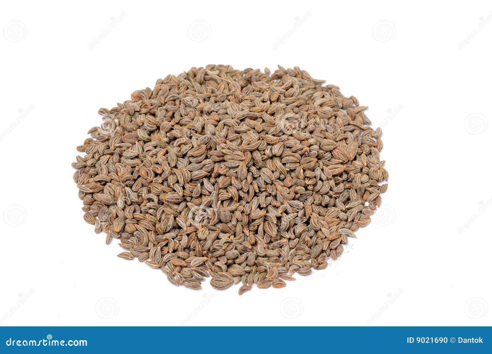 Seeds stock photo. Image of seeds, spice, healthy, seed - 9021690