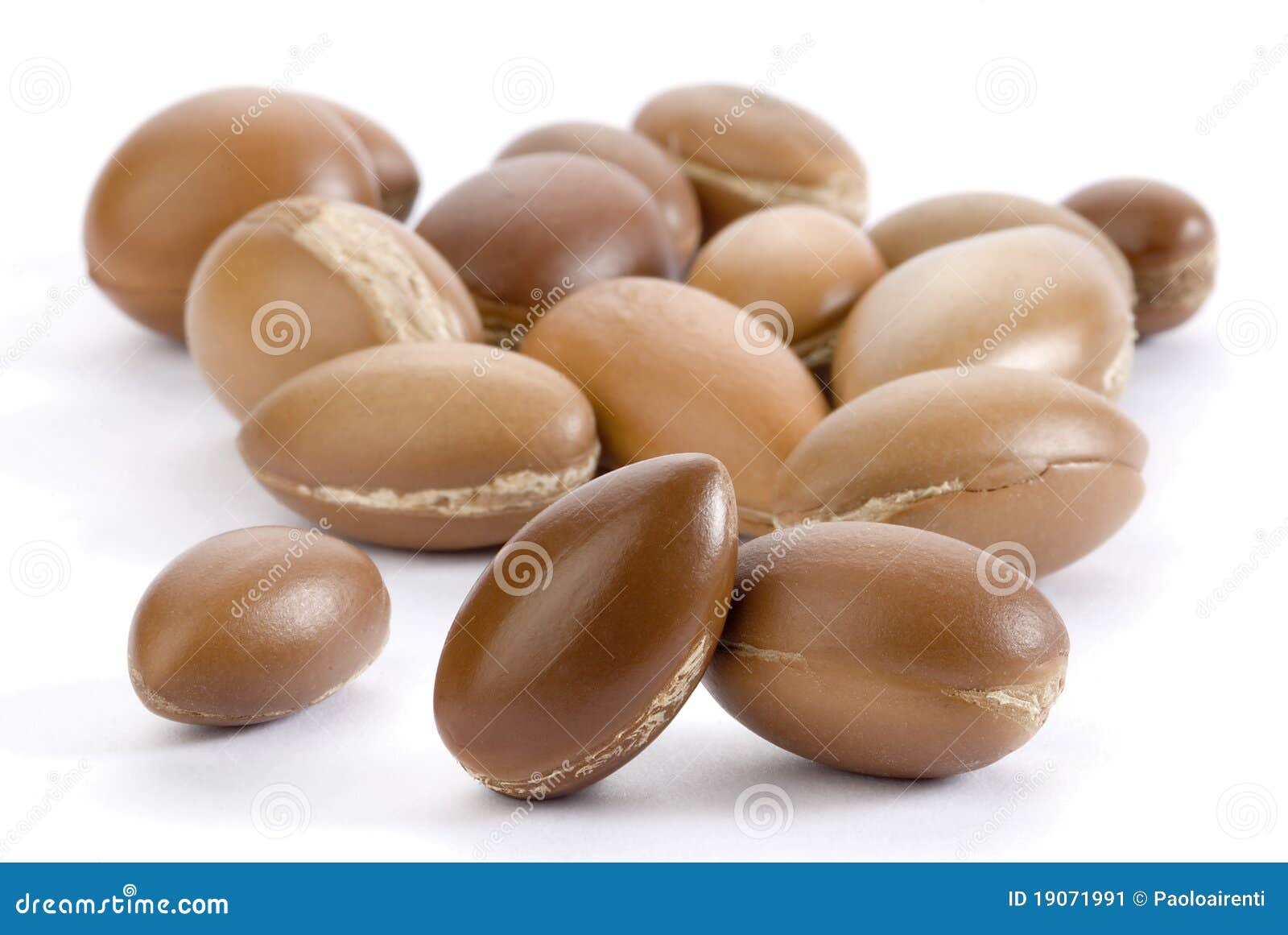 Seeds of argan stock image. Image of argan, care, aroma - 19071991