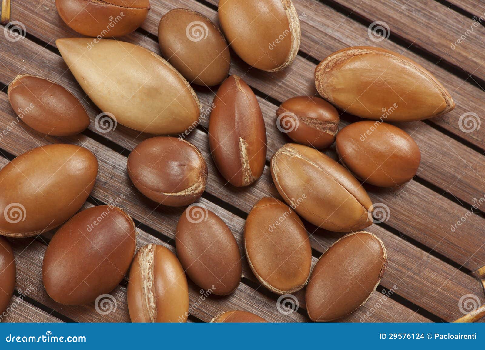 Seeds of Argan,Morocco Plant for Cosmetic Stock Photo - Image of argan ...