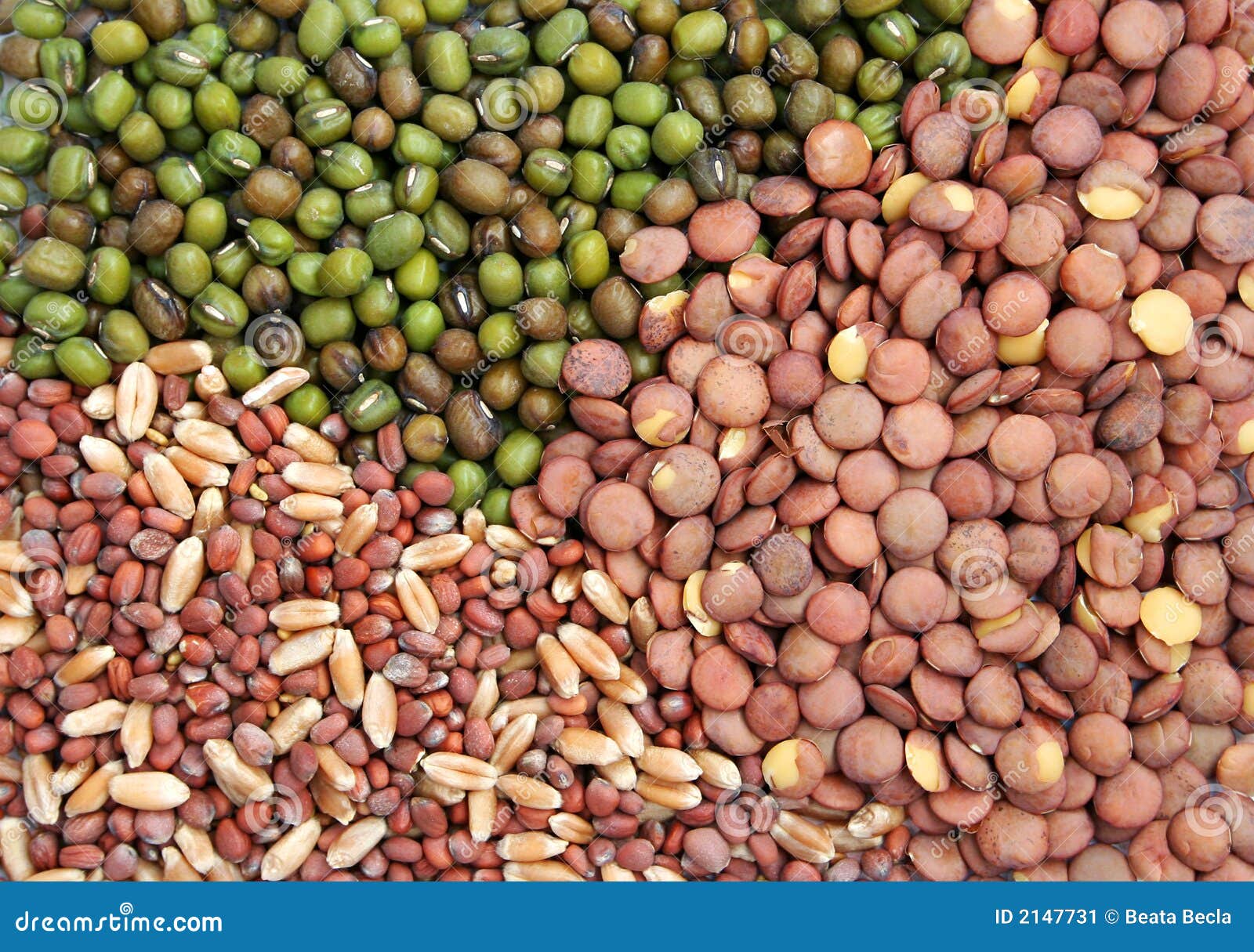 Seeds background stock image. Image of veggie, macro, agriculture - 2147731