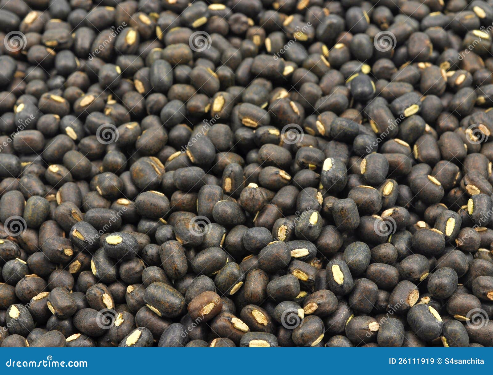 Black Gram Pulse. Kali Urad Daal Royalty-Free Stock Image ...