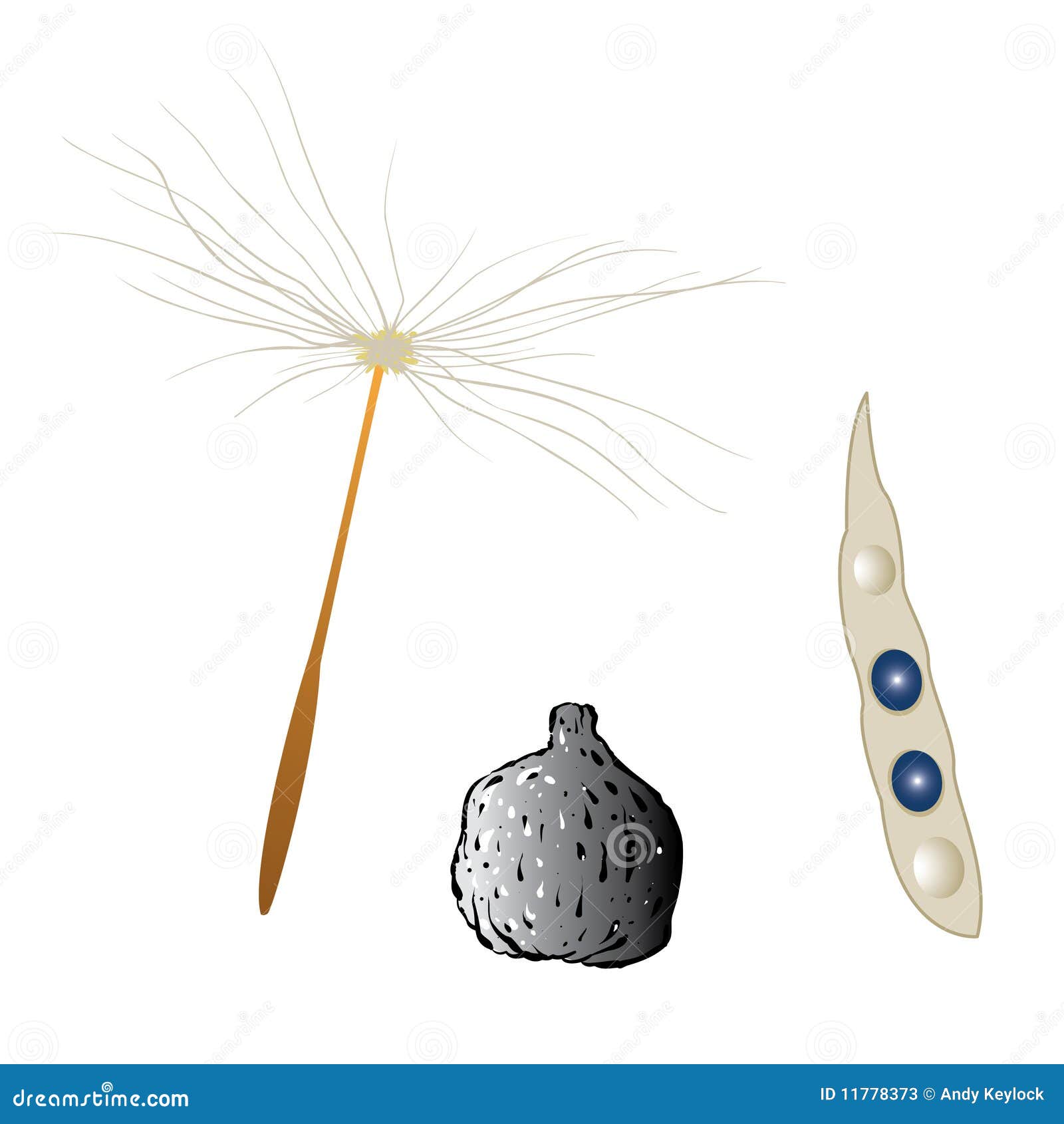 Seeds Cartoons, Illustrations & Vector Stock Images - 198162 Pictures ...