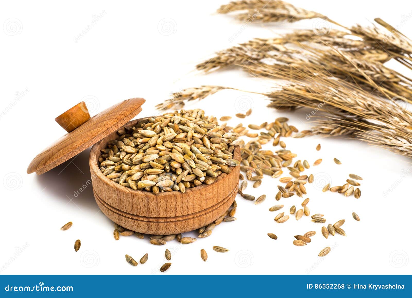 Seeds of Cereal Crops on White Background Stock Photo - Image of ...