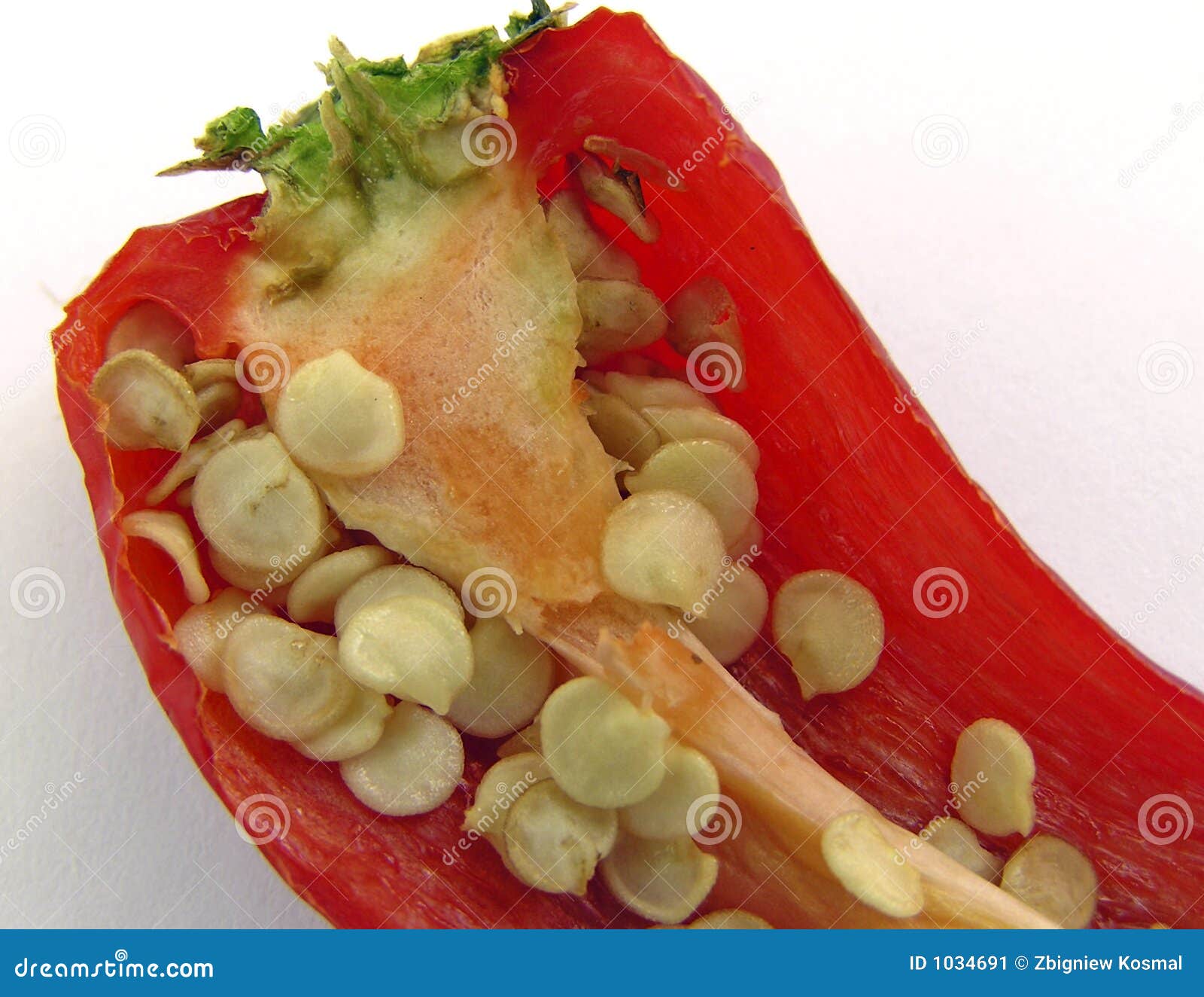 Seeds chili stock image. Image of cooking, cookery, detail - 1034691