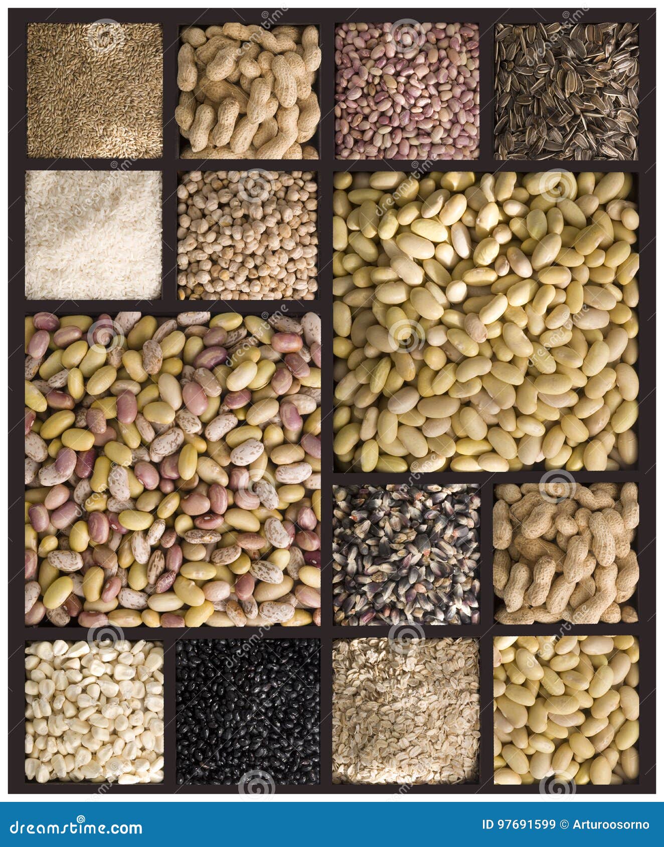 Seeds stock image. Image of rice, cereal, corn, chickpea - 97691599