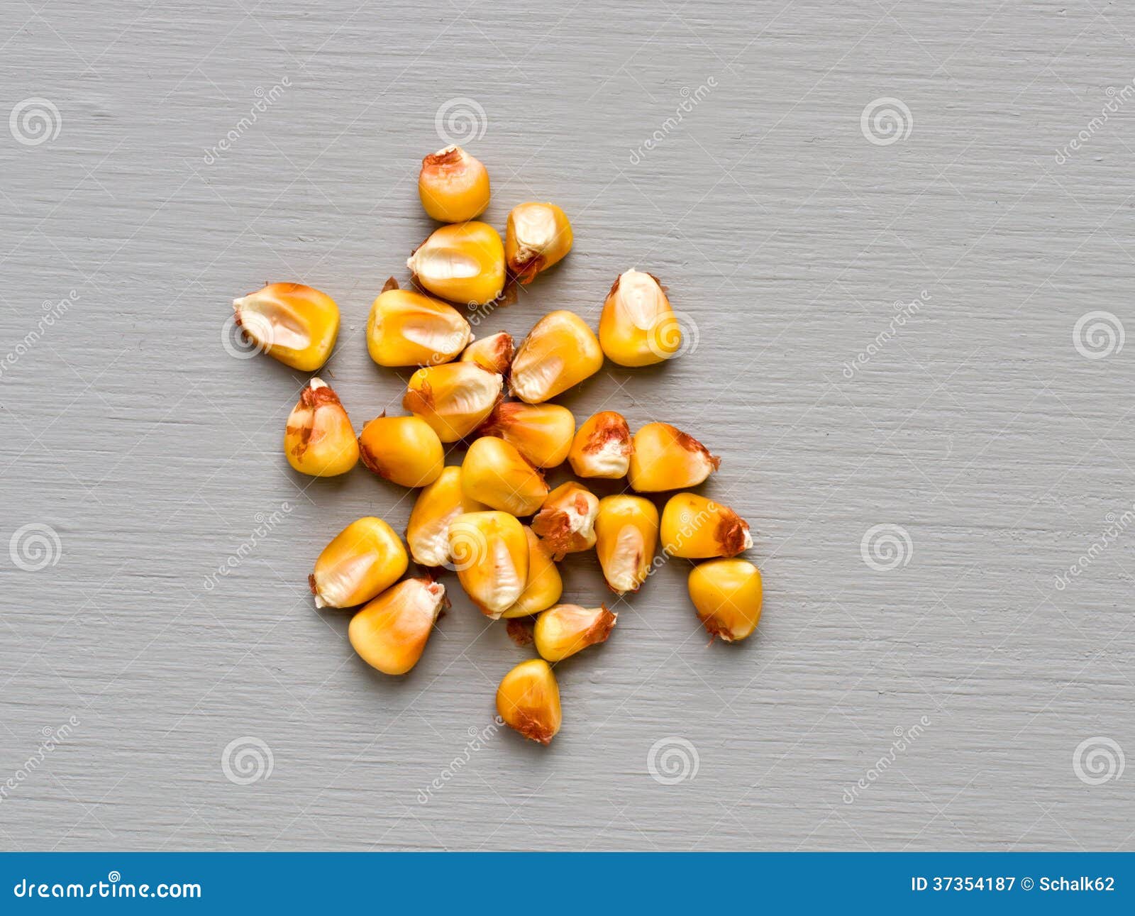 Seeds of maize stock image. Image of copyspace, grain - 37354187