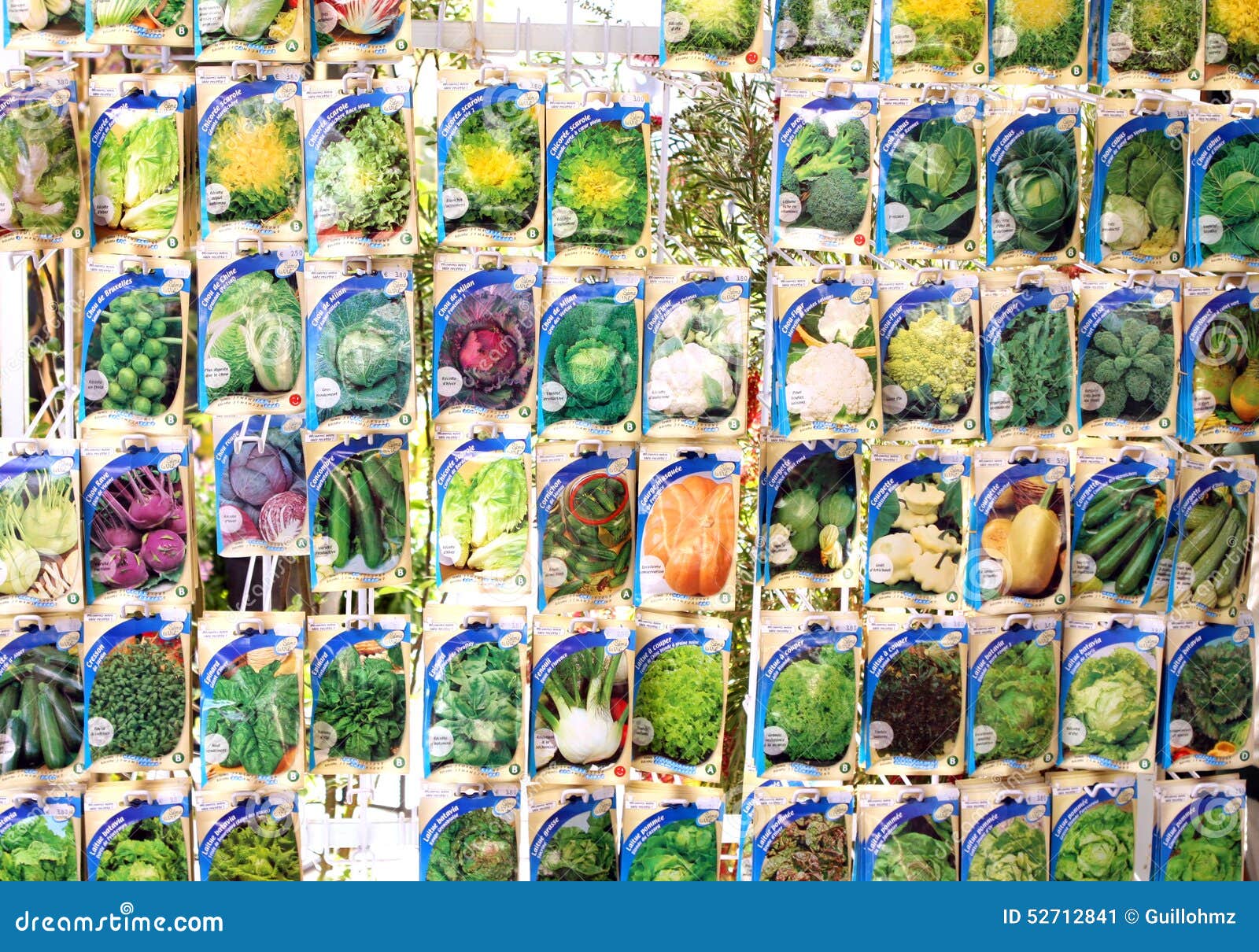 Seeds editorial photo. Image of grown, garden, flower - 52712841