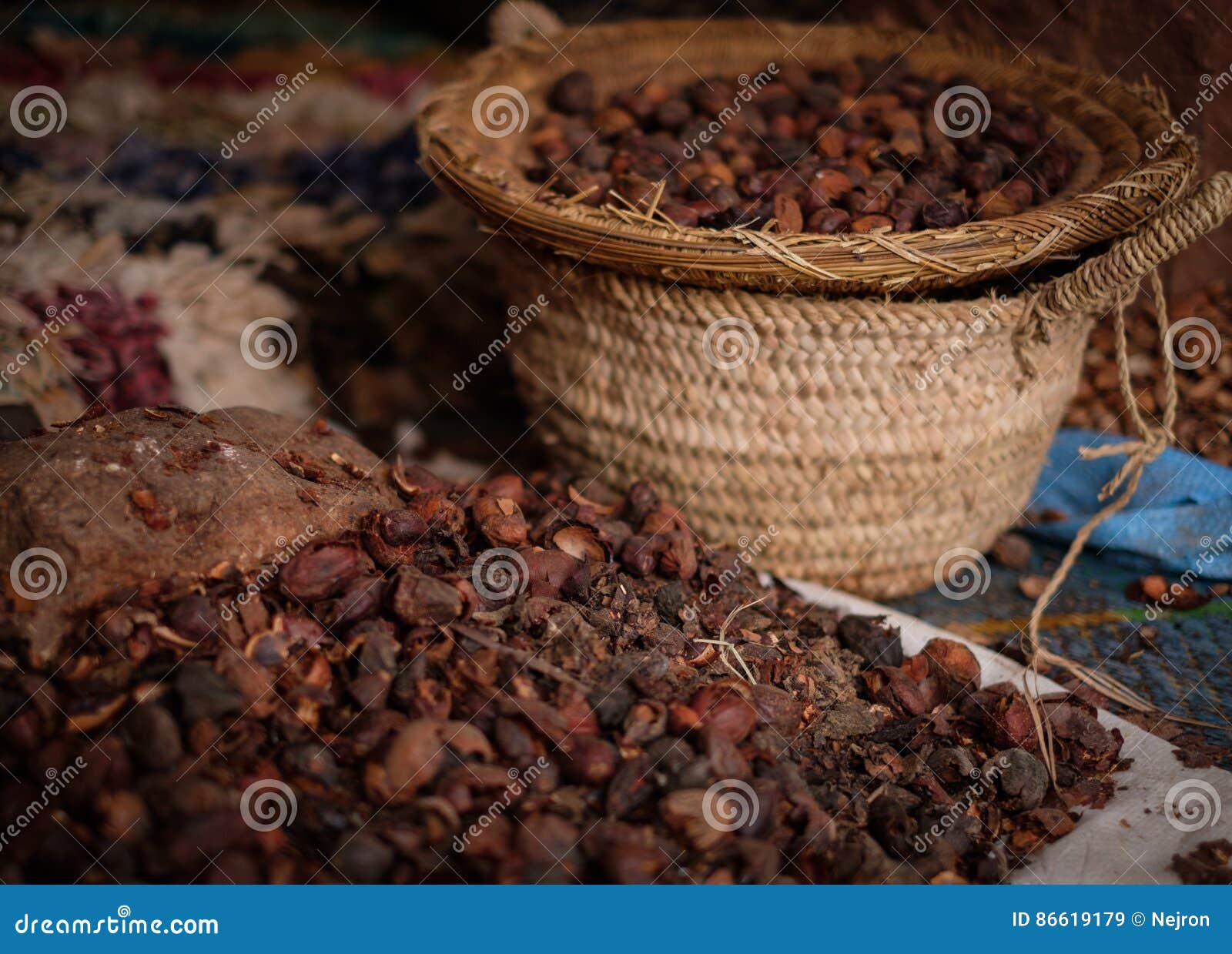 Seeds of Moroccan Argan Tree on a Market Stock Image - Image of ...