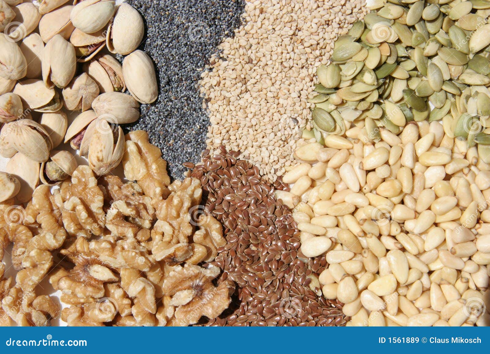 Seeds and nuts stock image. Image of healthy, vegetarian - 1561889