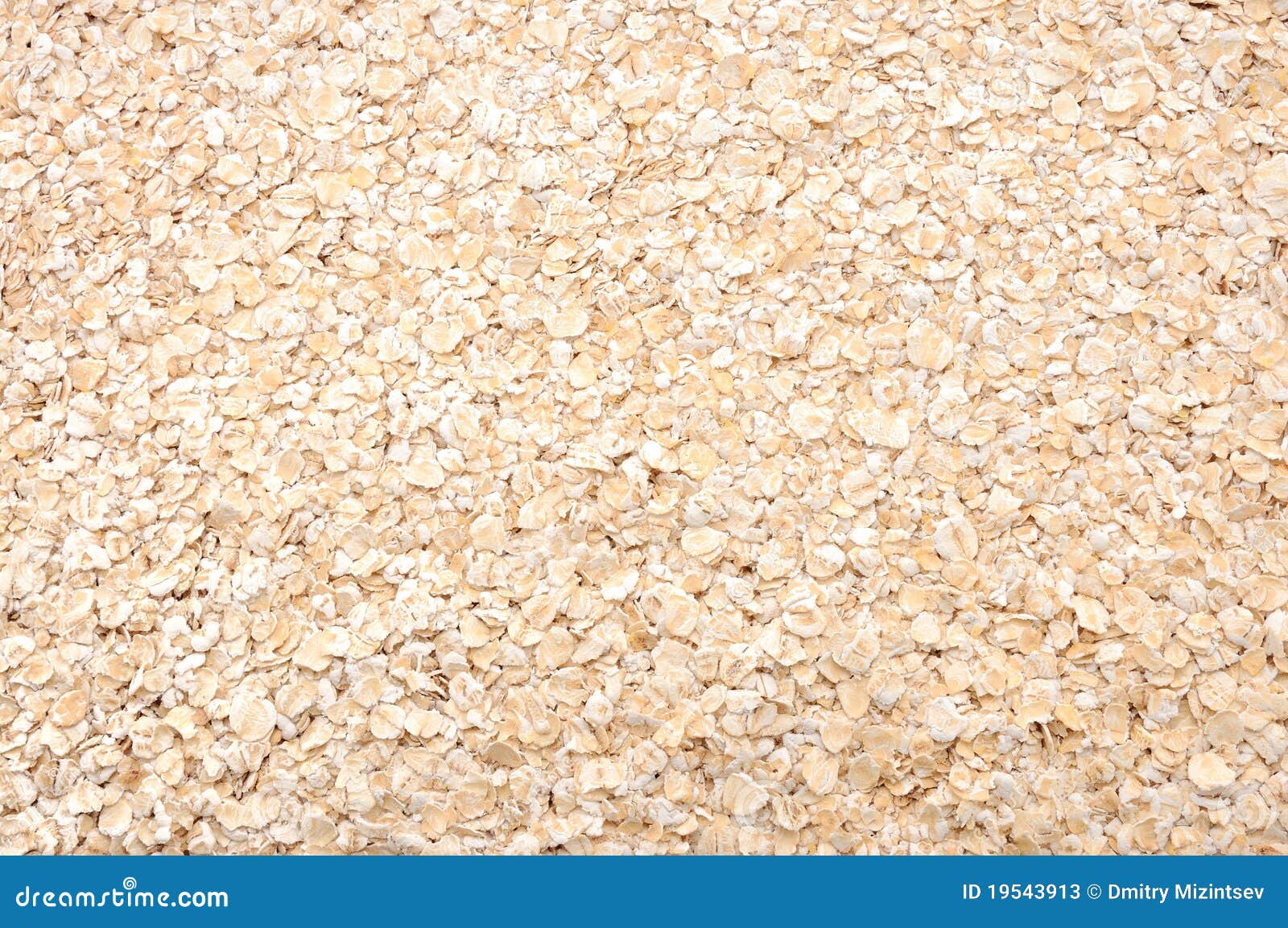 Seeds oat flakes stock image. Image of endosperm, dried - 19543913