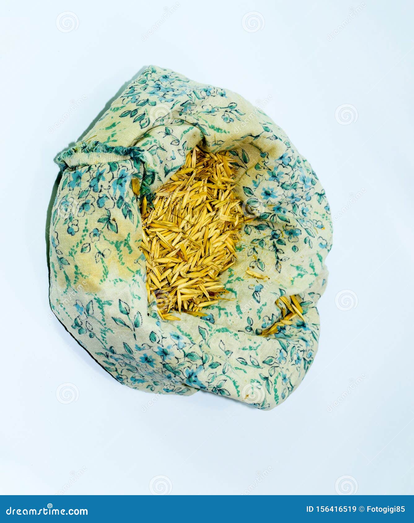 Seeds of Oats in a . Ready To Sow the Grain of Oats Stock Image - Image ...