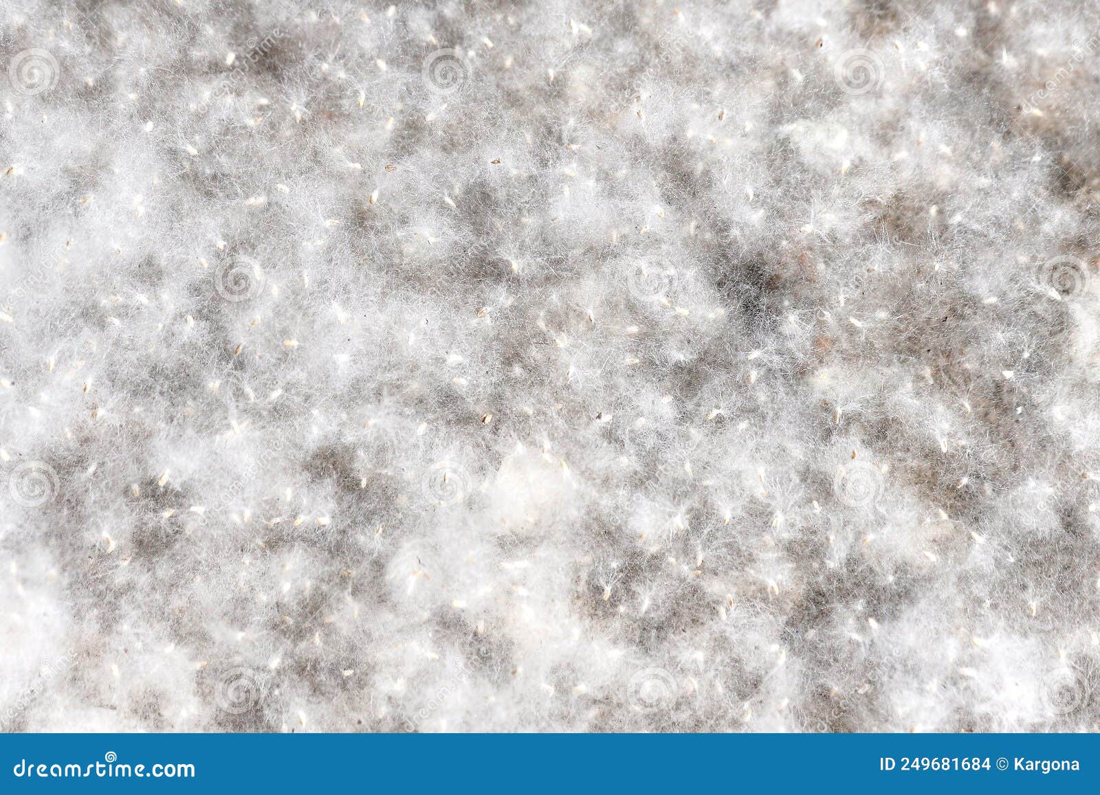 The Seeds of the Poplar Tree As a Fluffy Background Stock Photo - Image ...