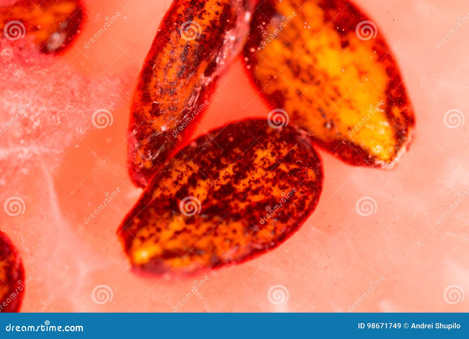 Seeds on a red watermelon stock image. Image of food - 98671749