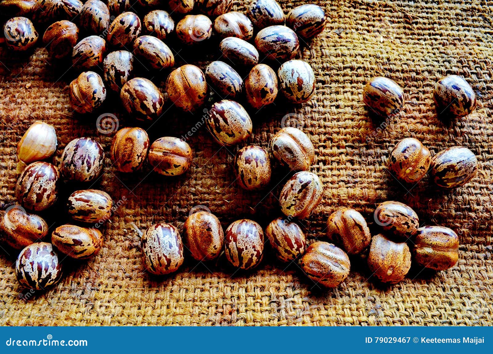 Seeds stock image. Image of plants, seed, full, background - 79029467
