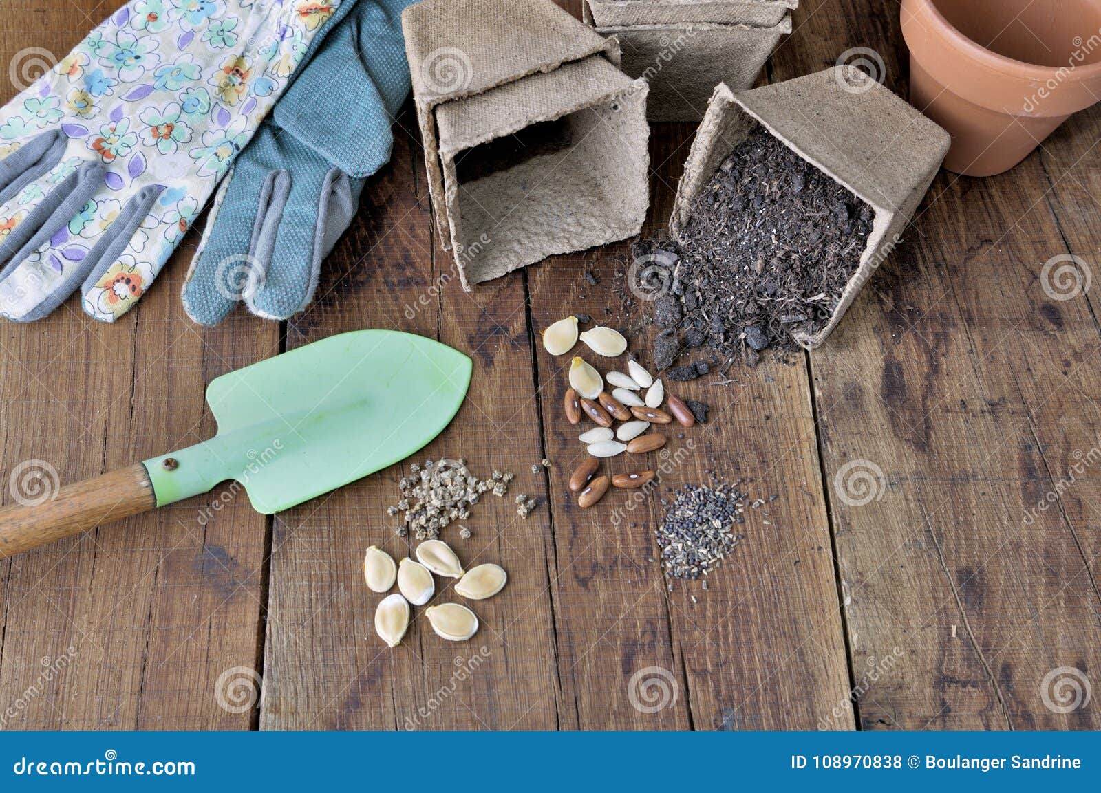 Seeds for Seedling on Bucket Stock Photo - Image of gloves, peat: 108970838